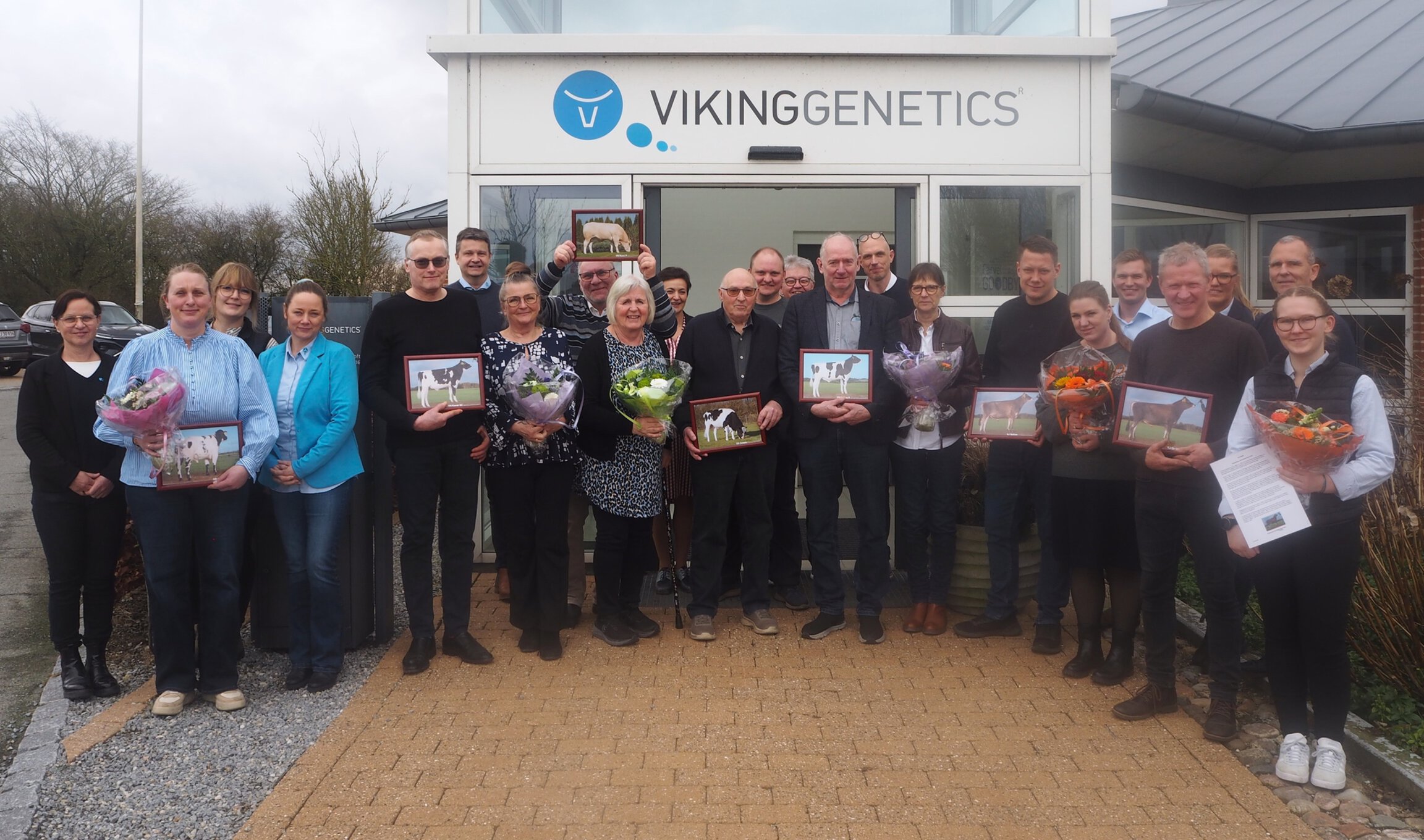 Celebrating the top VikingGenetics bulls of 2024