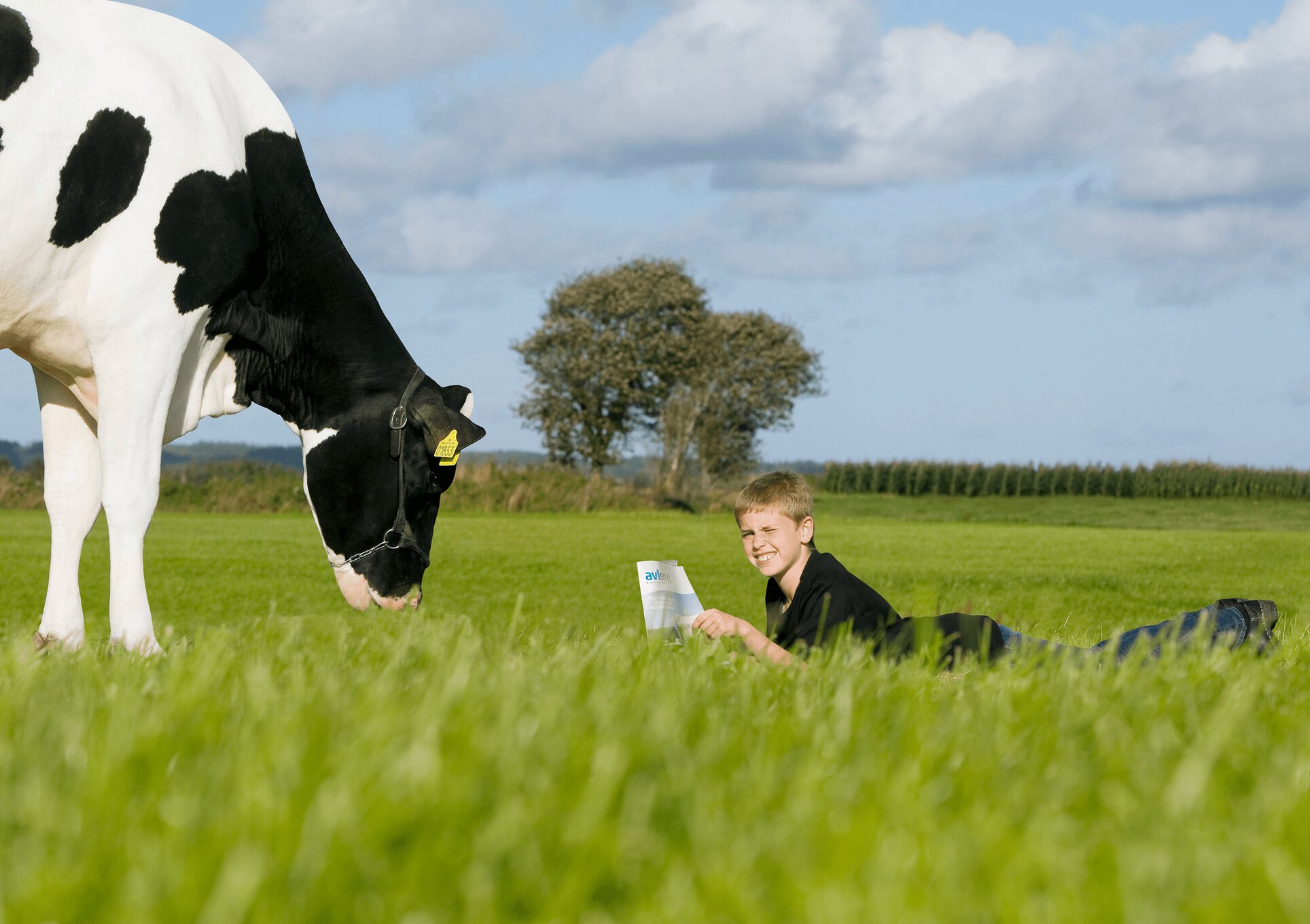 Innovative Breeding magazine