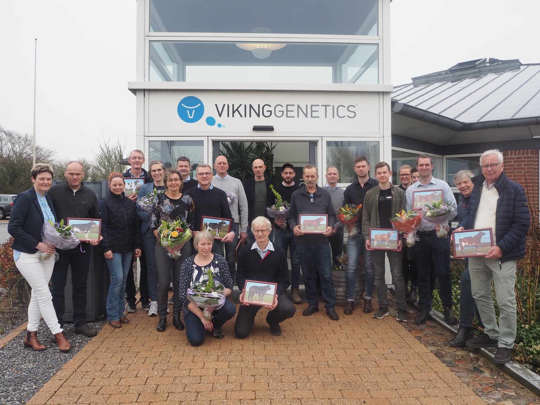 Celebrating the top VikingGenetics bulls of 2023