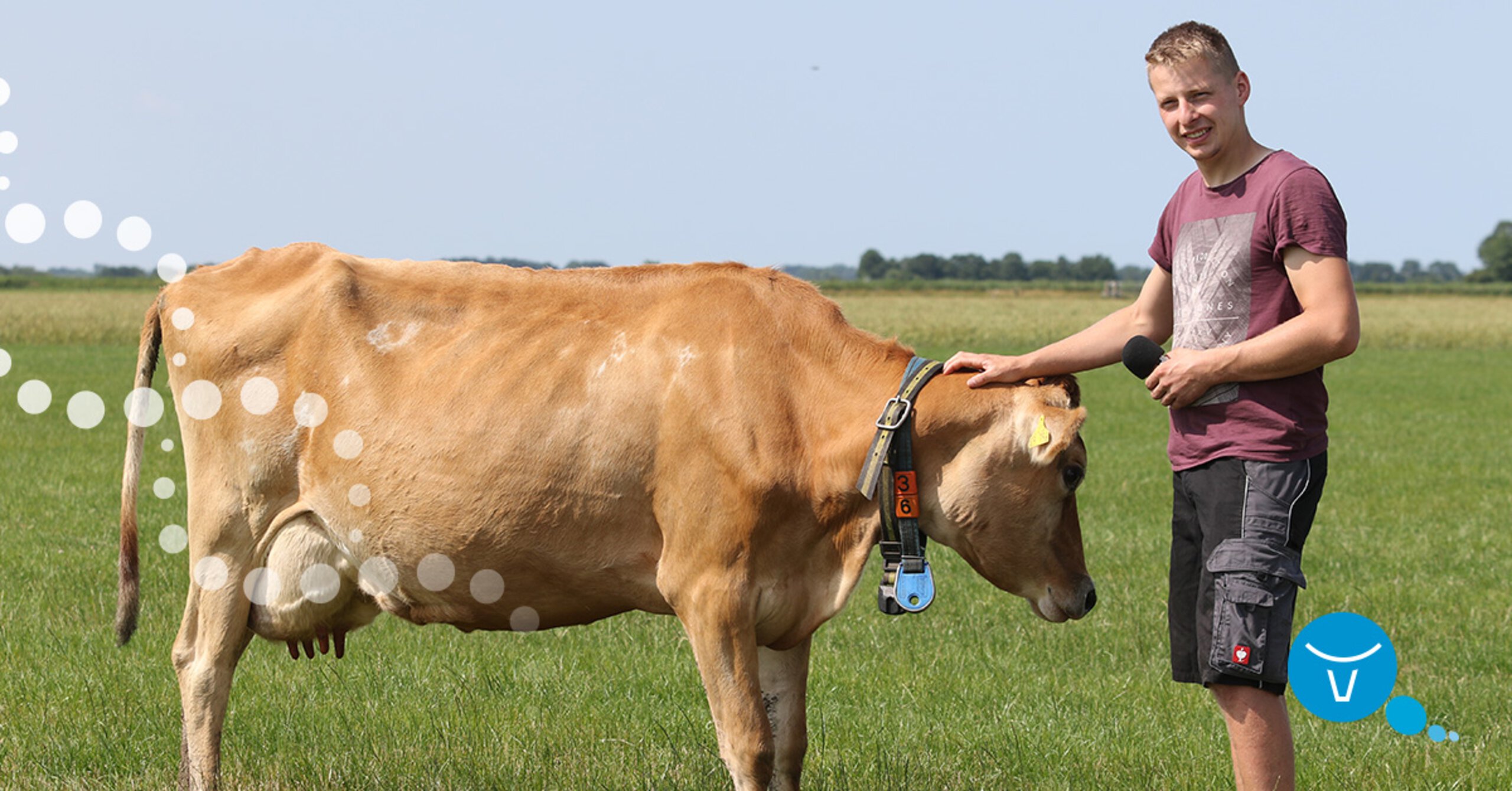 German Farmer: VikingJersey Cows Are Profitable & Easy