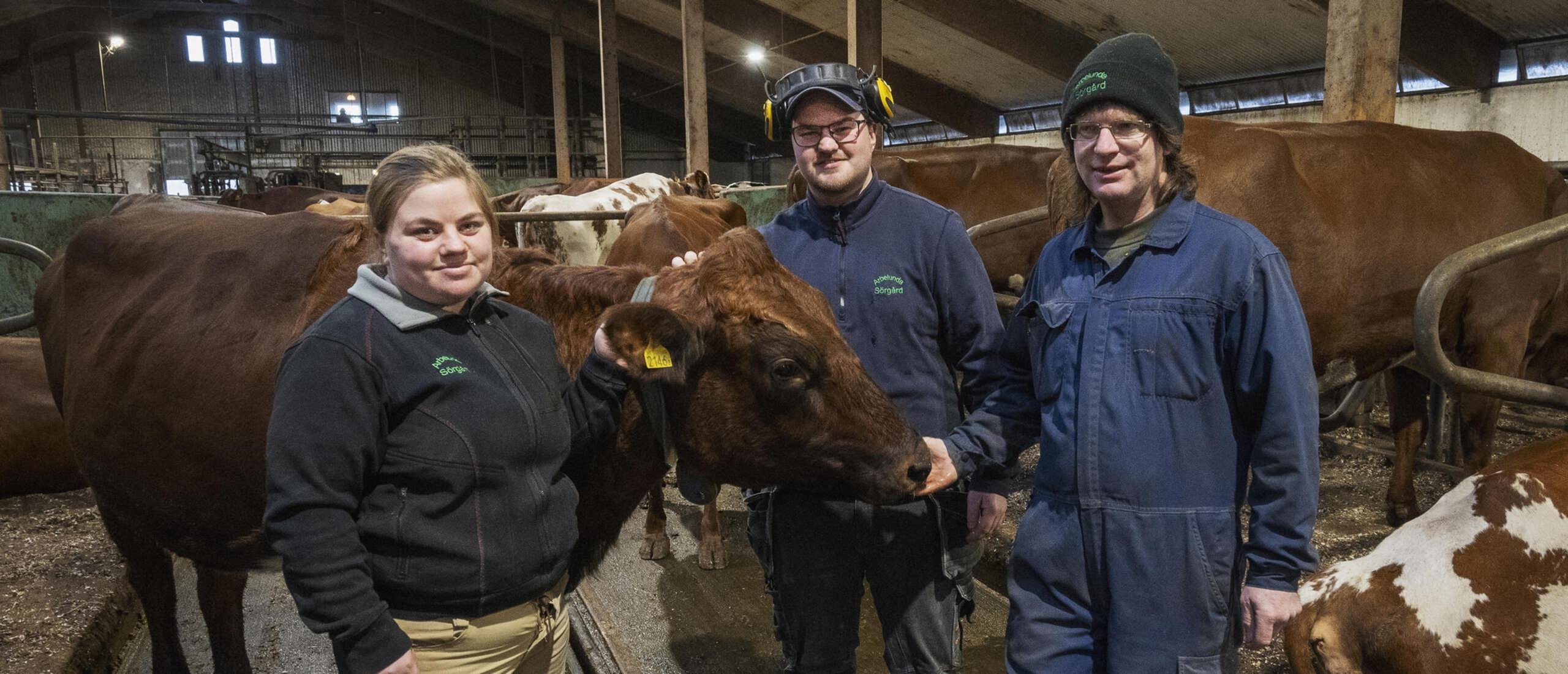 Herd of the Year Sweden 2024 - Arbelunda Sörgård