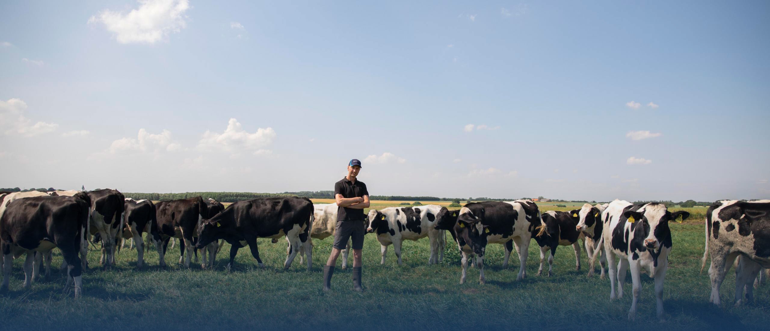 Genetic strategy in 4 steps