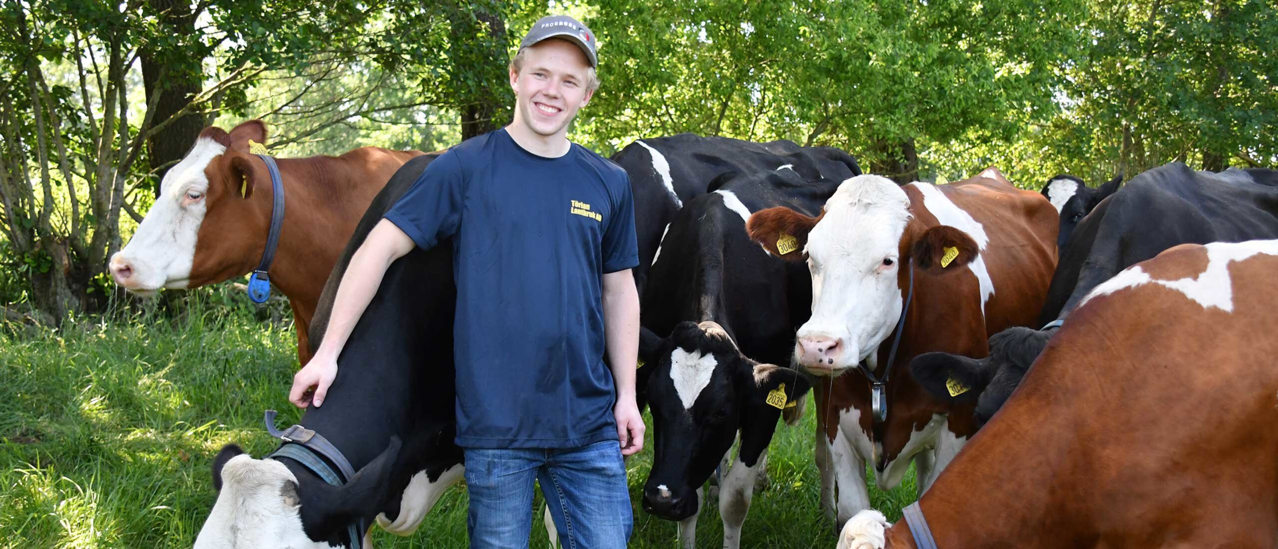 Case: Organic and efficient with ProCROSS