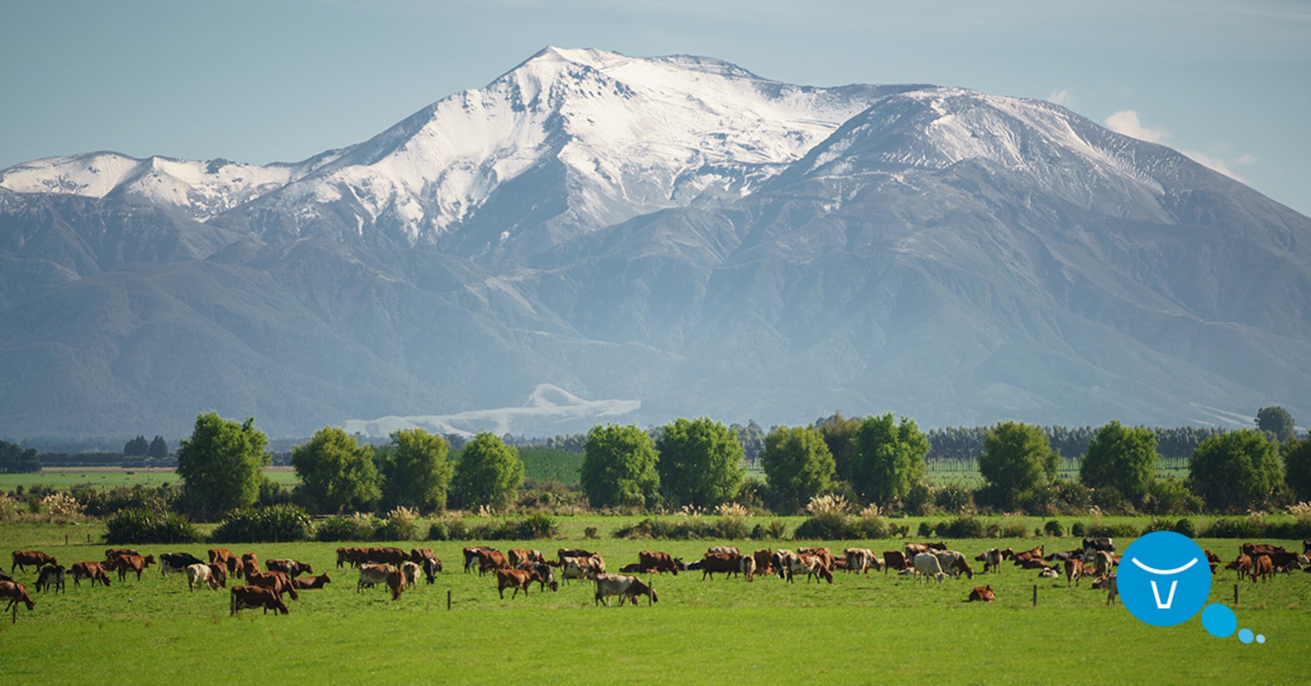 Profitable crossbred cows with VikingRed
