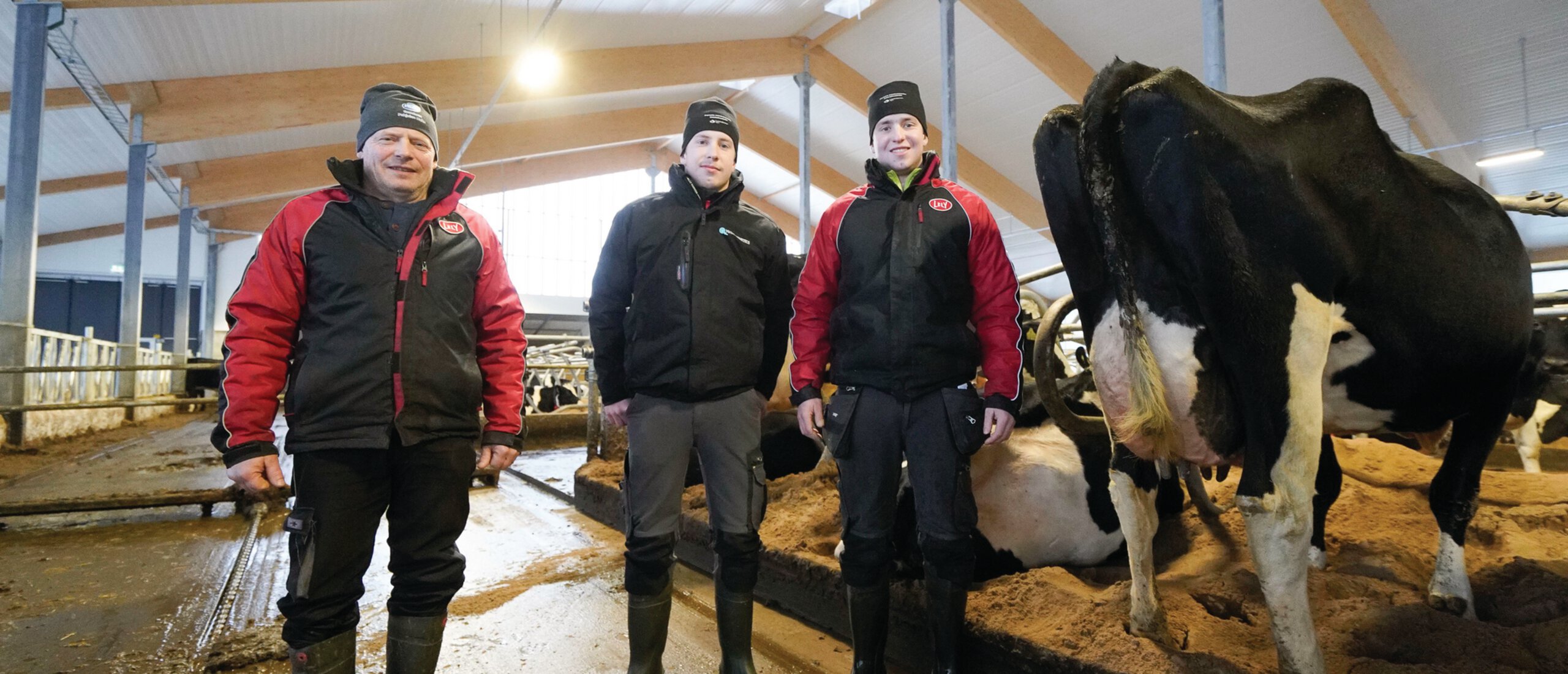 VikingHolstein Is Bringing Results To Ahlvik Farm
