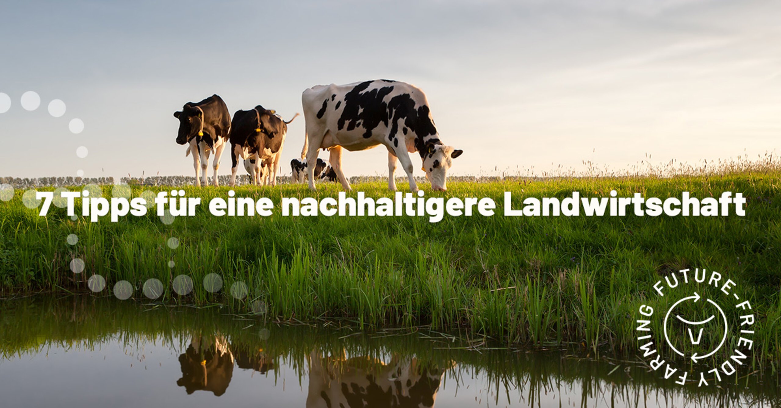 7 Tipps für eine nachhaltigere Landwirtschaft