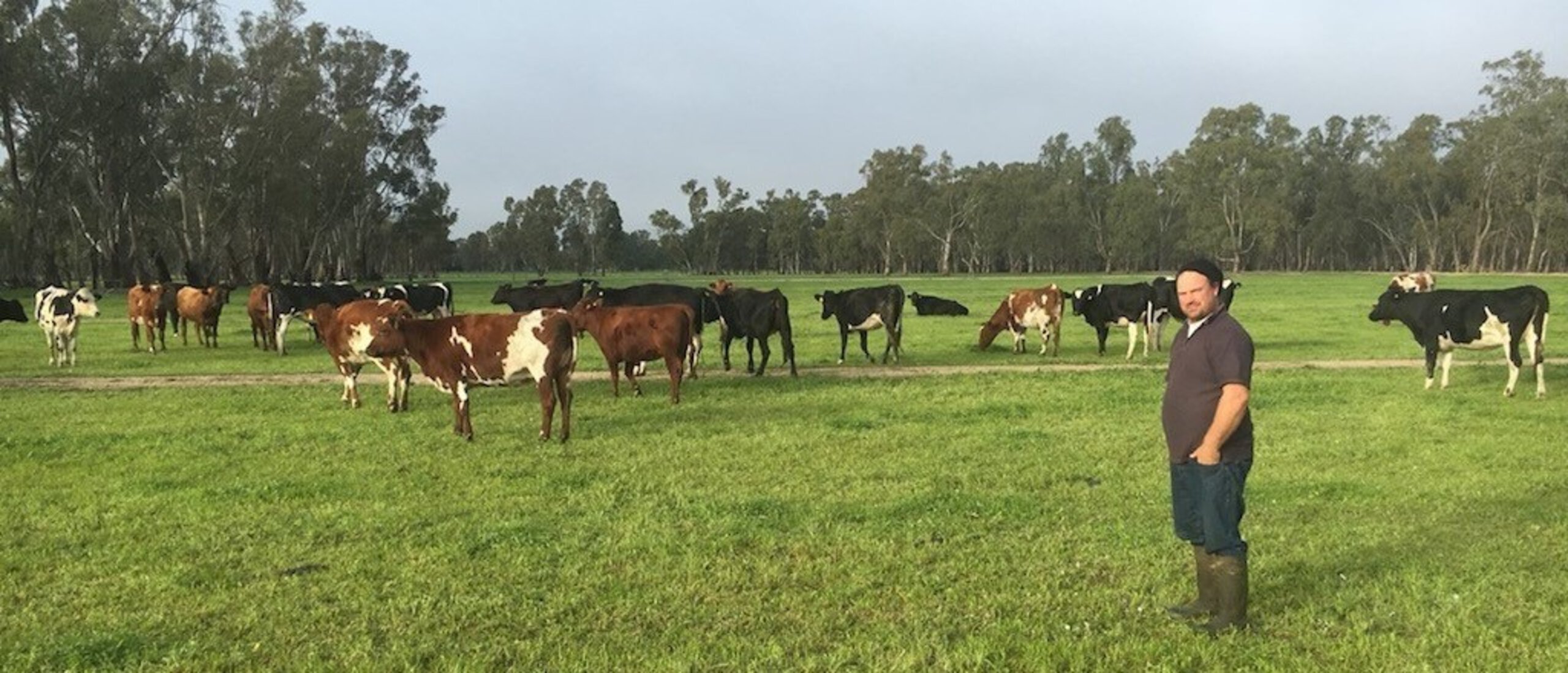 “We achieved 70% pregnancy rate”