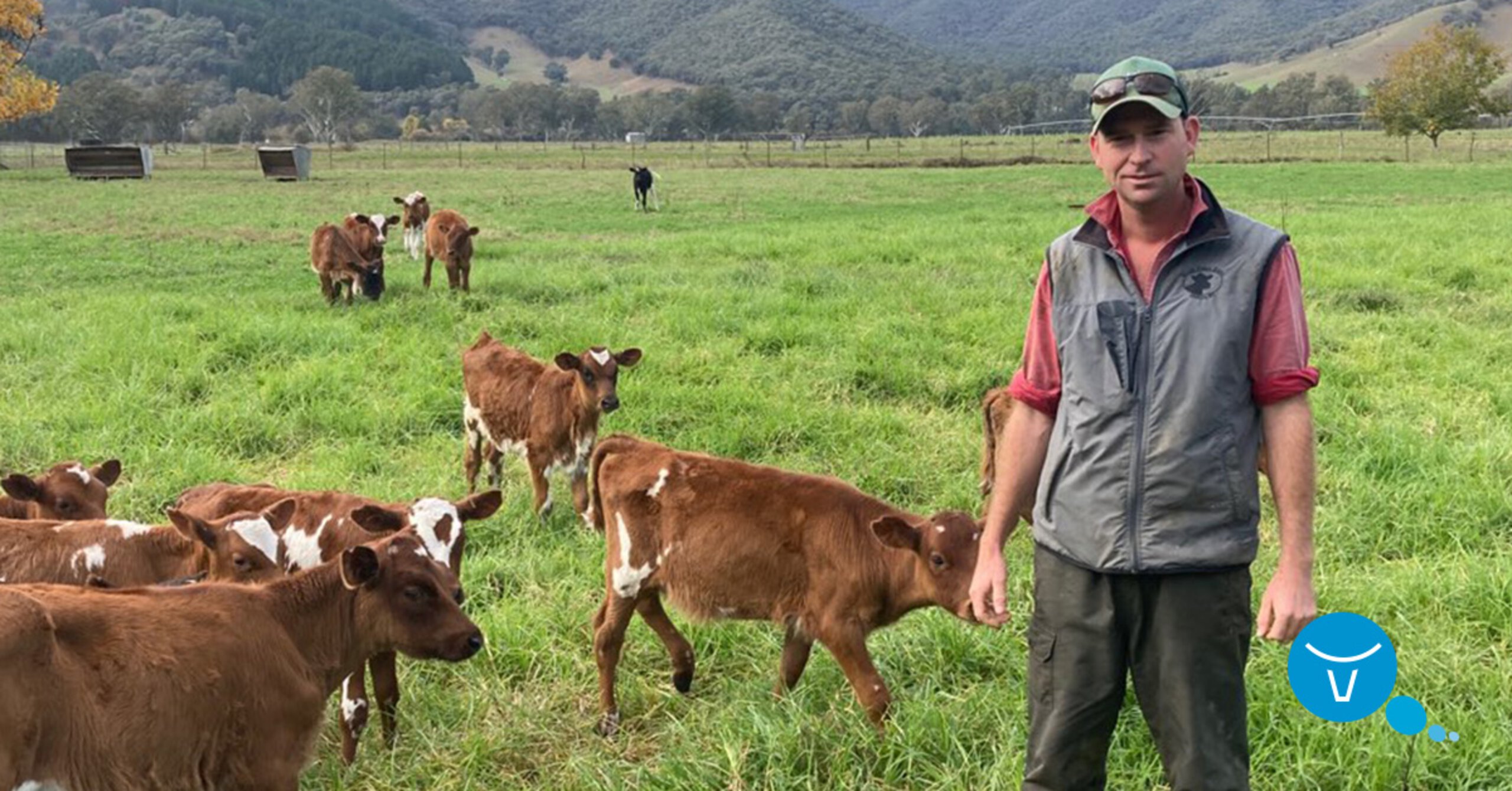 Crossbreeding with VikingRed for Health and Sustainability