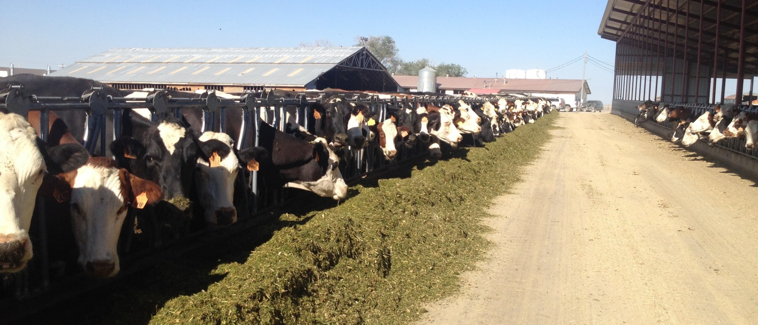 Better health and profit with ProCROSS