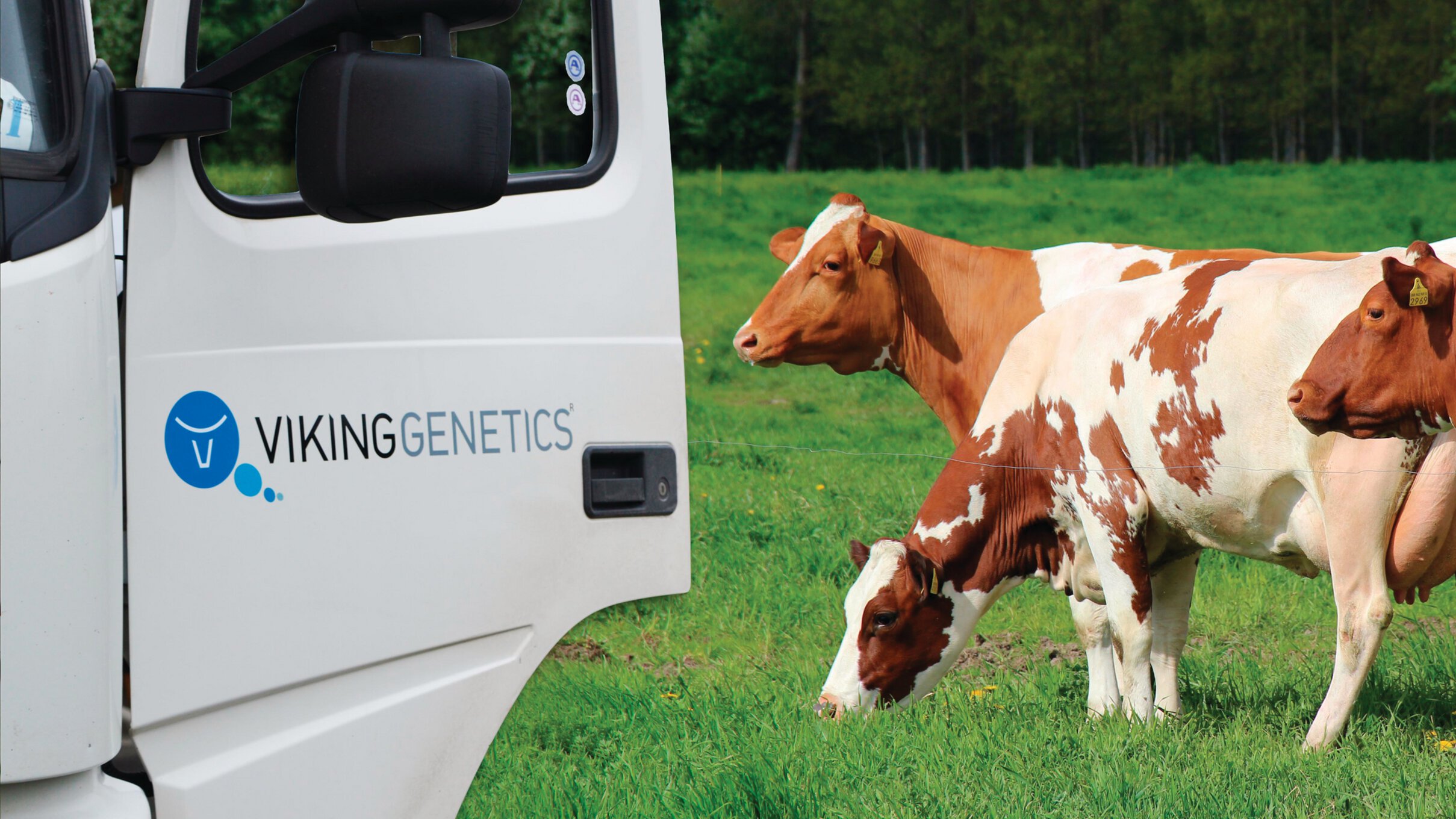 Livestock that suits your demand