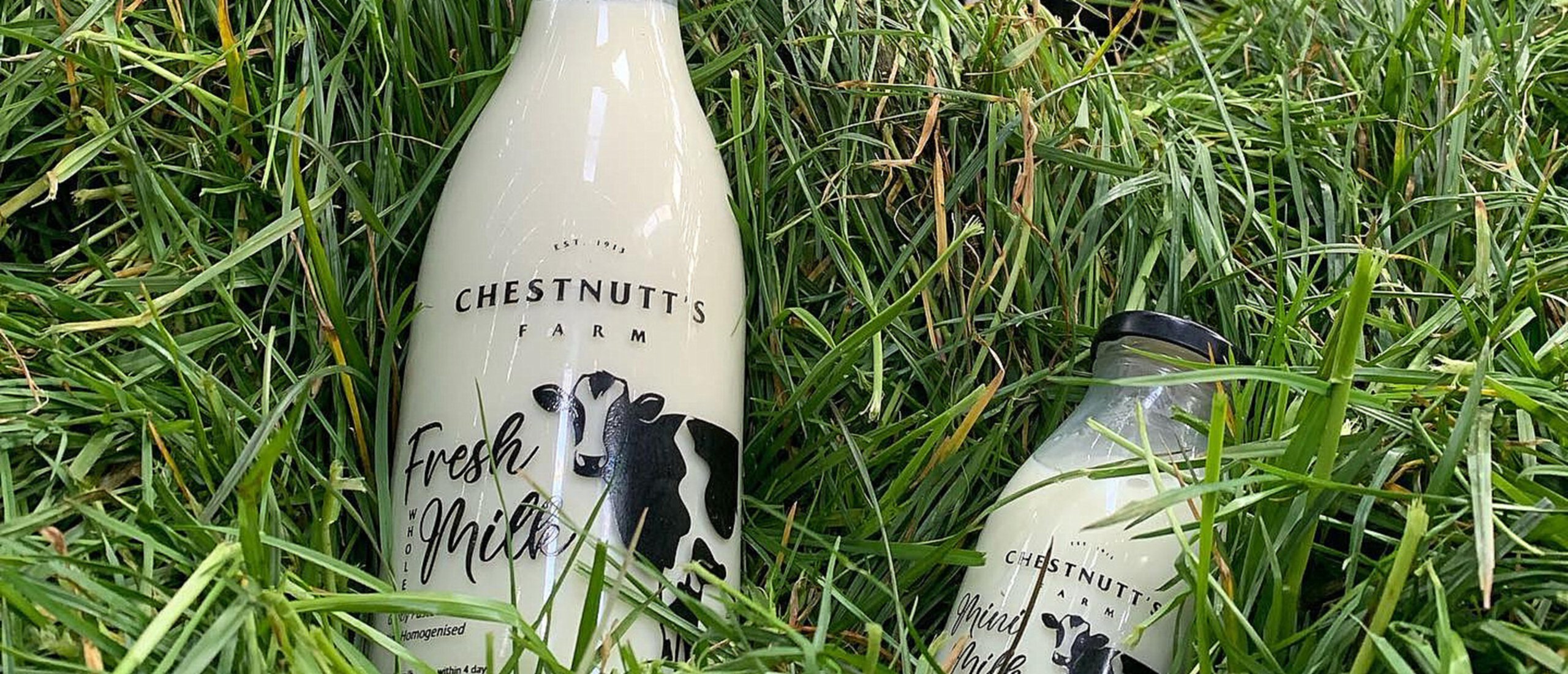 A more profitable business with ProCROSS cows