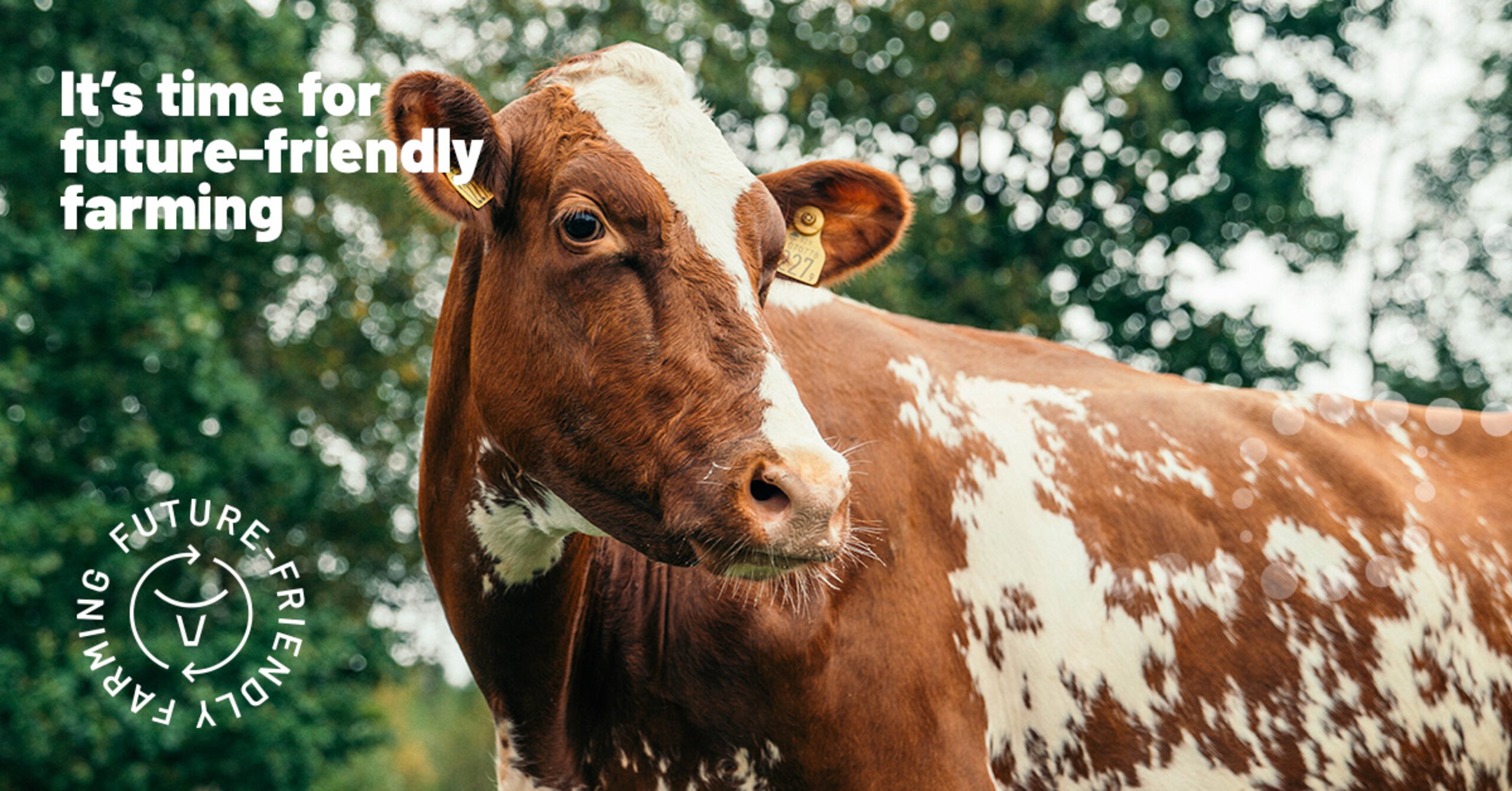 A sustainable business with future-friendly farming