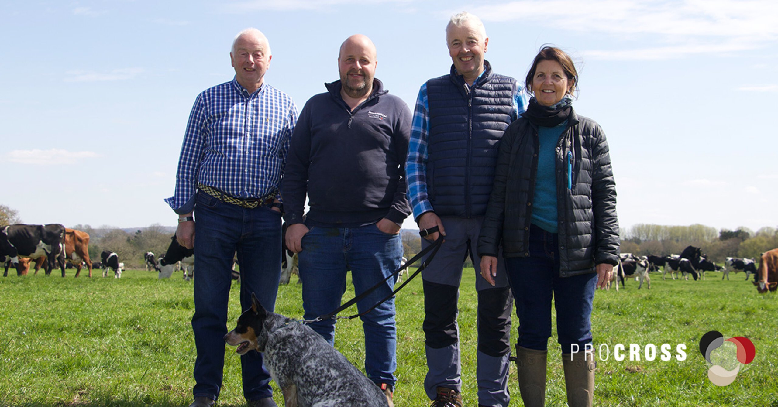 Switching to ProCROSS pays off