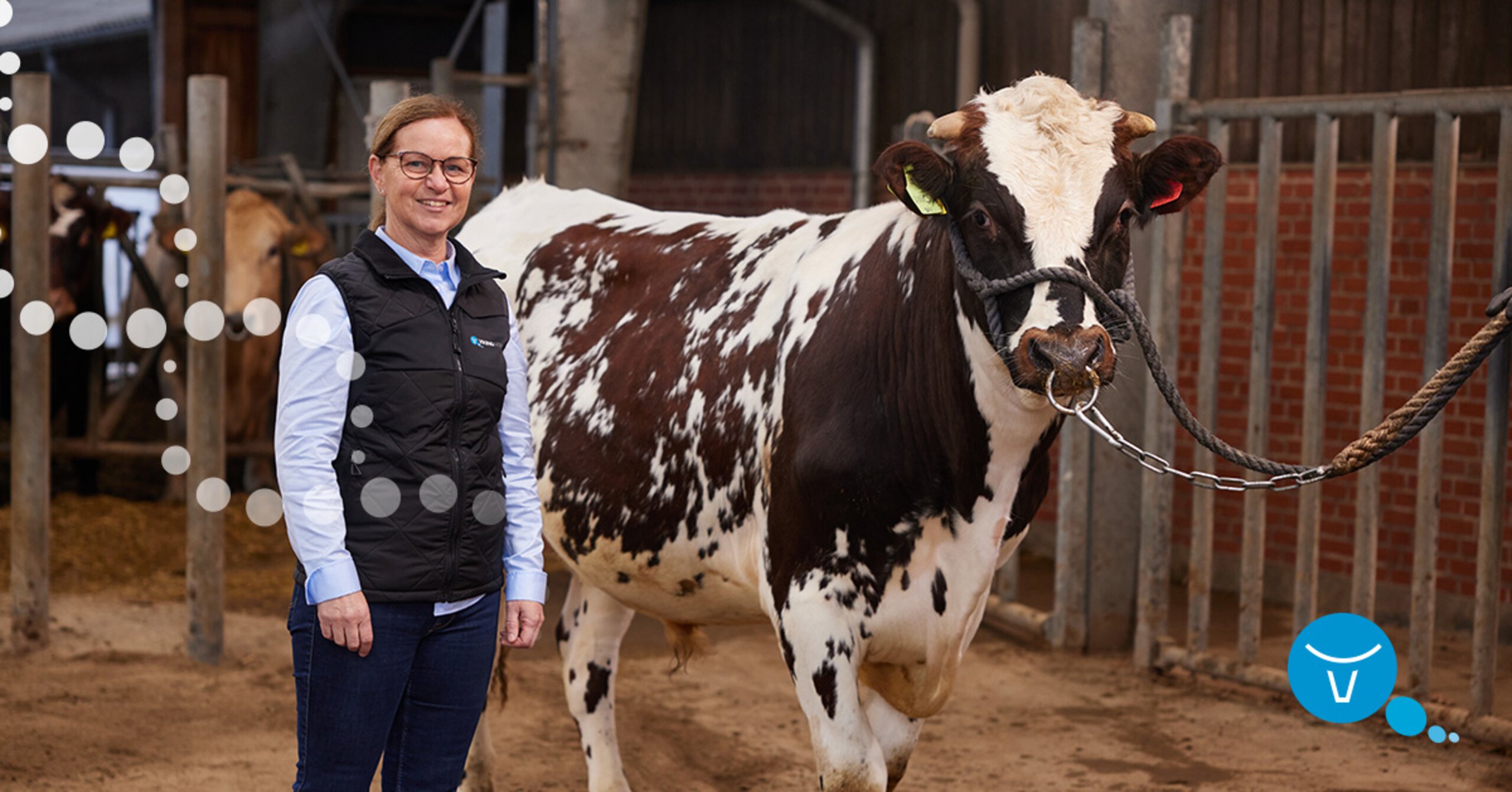 Passion for Breeding: The World’s Best Red Dairy Cow