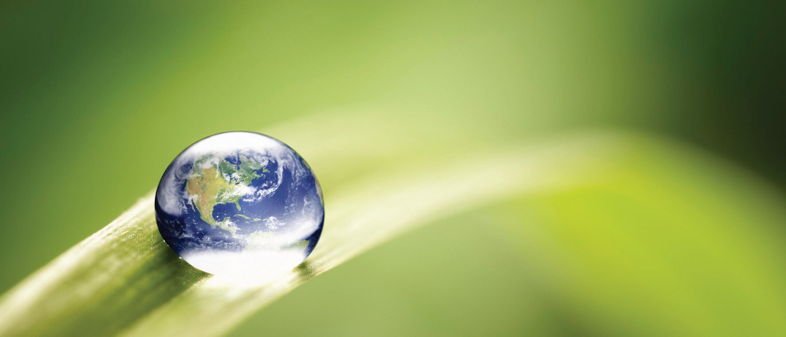 Social Responsibility for Innovative Breeding