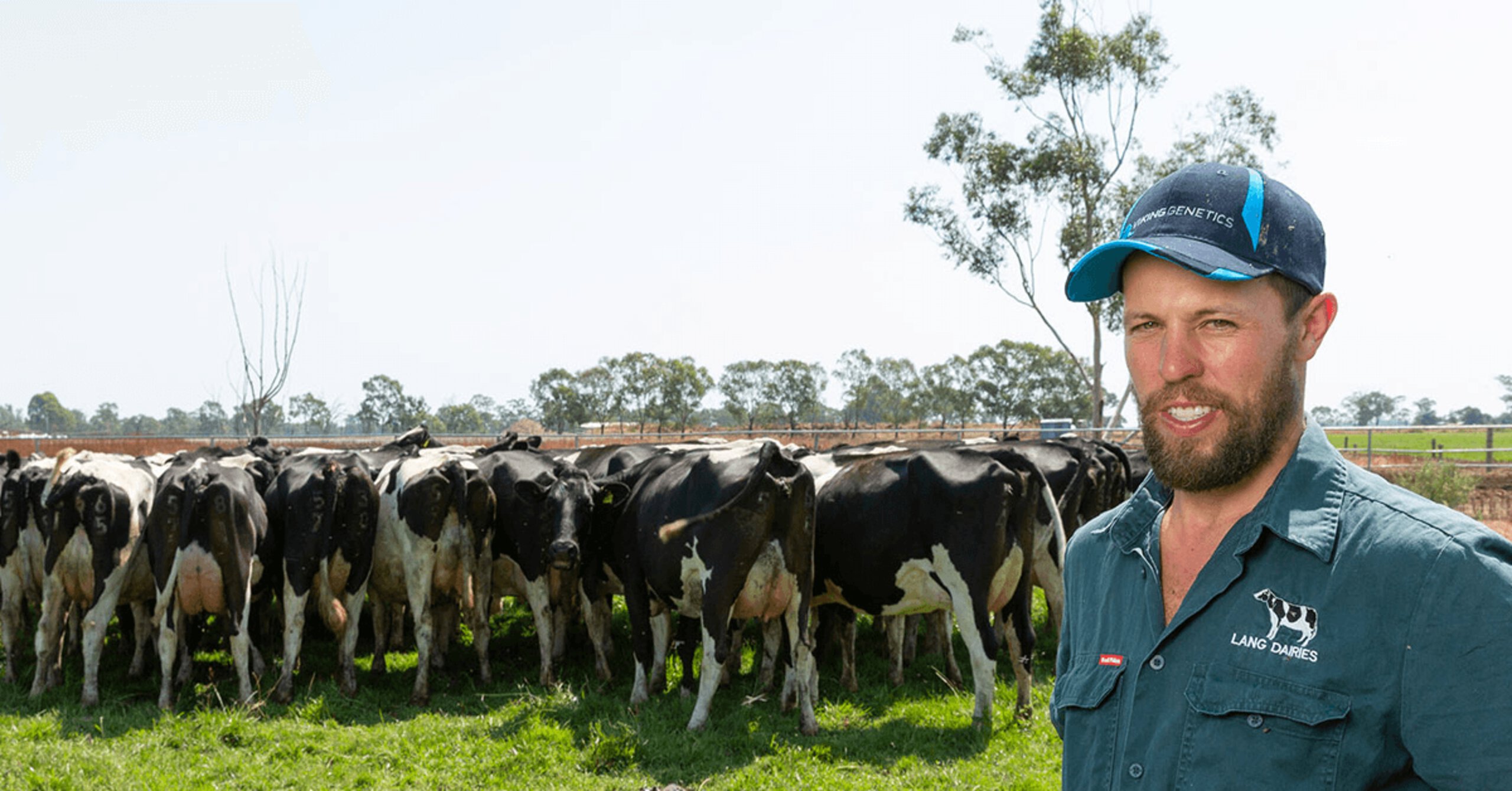 Markus Lang - VikingHolstein Farm