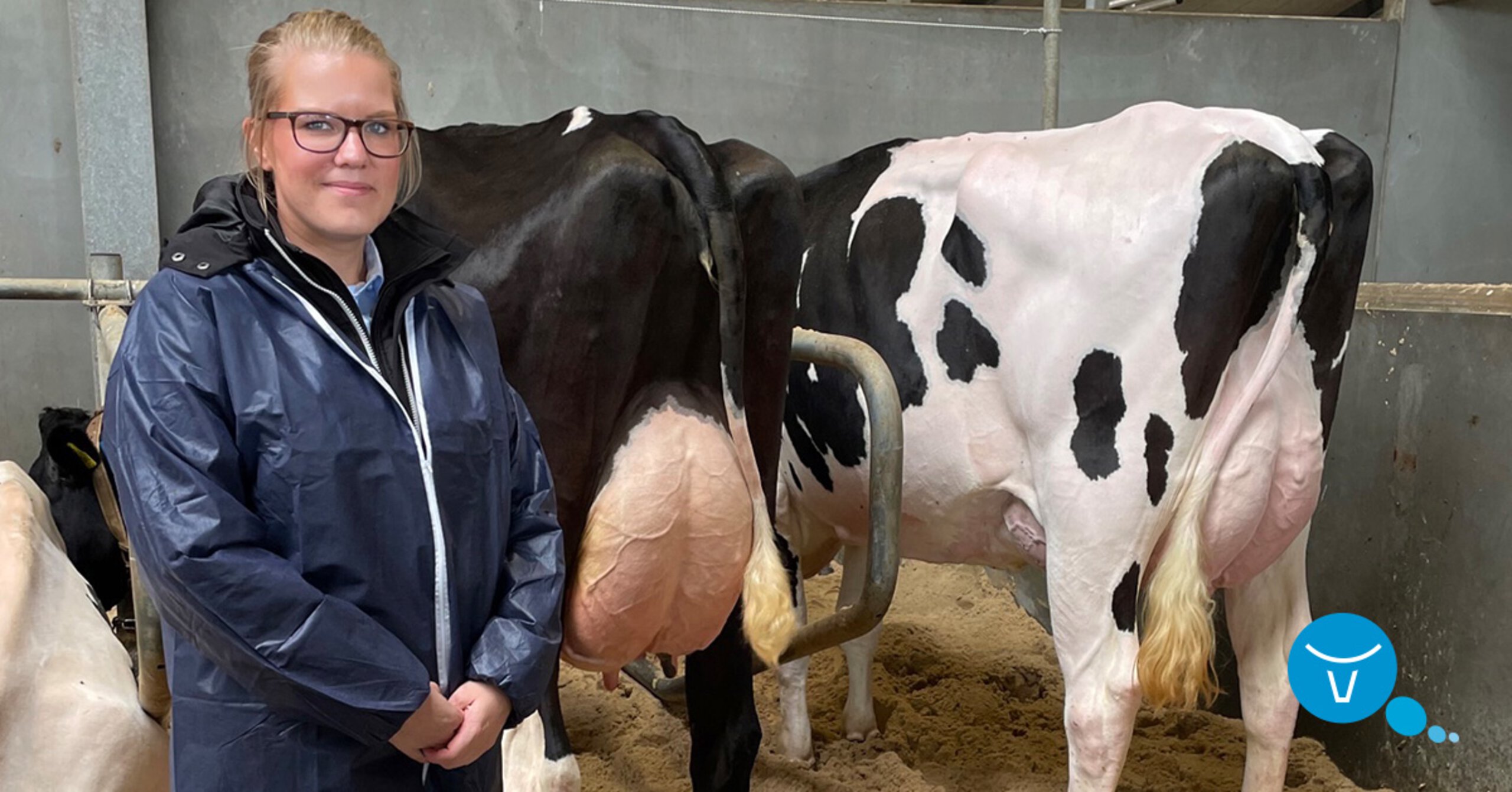 Passion for Breeding: Learning from Farmers and Holstein Cows