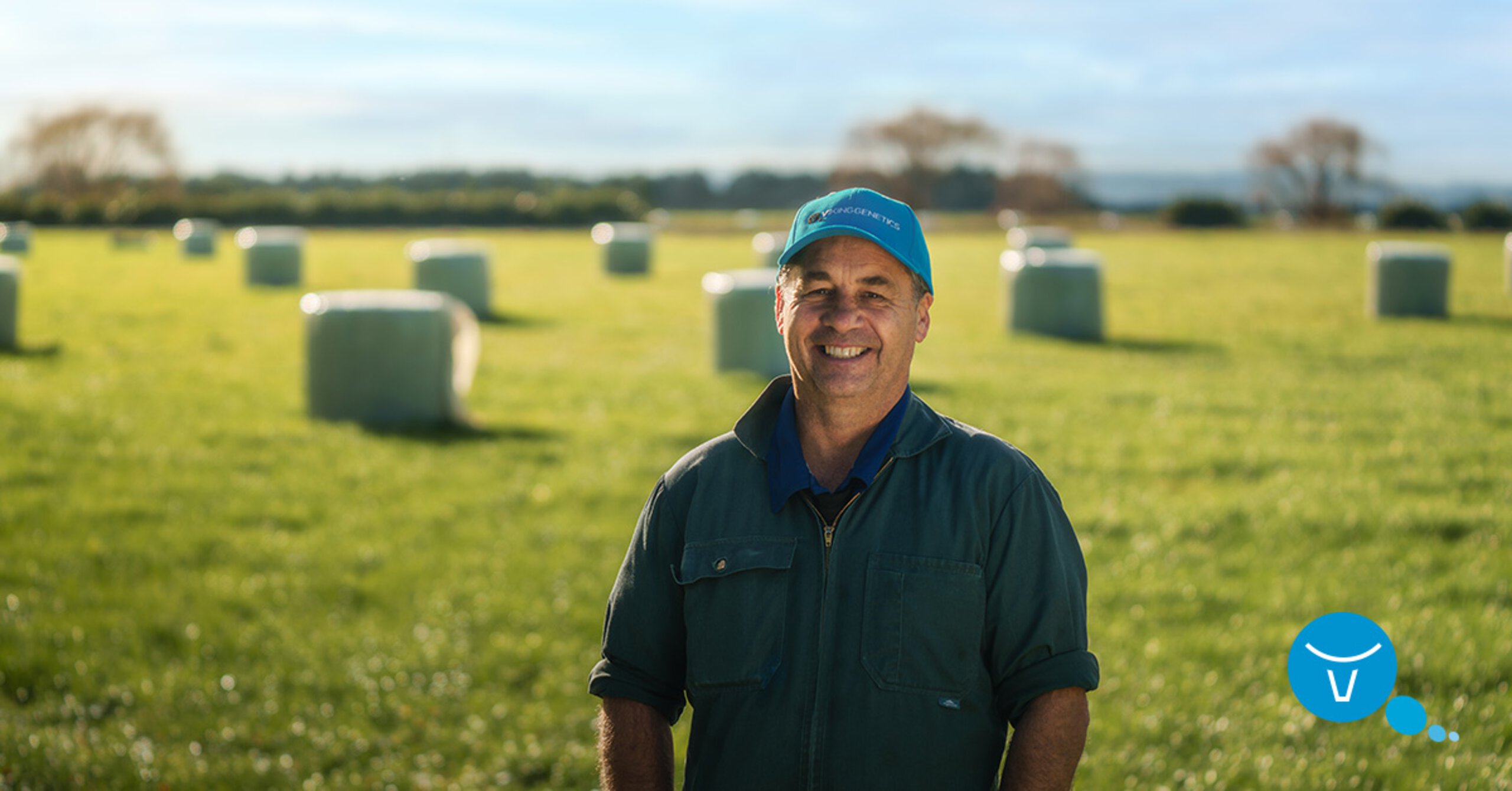 Solve your bobby calves problems with Beef on Dairy