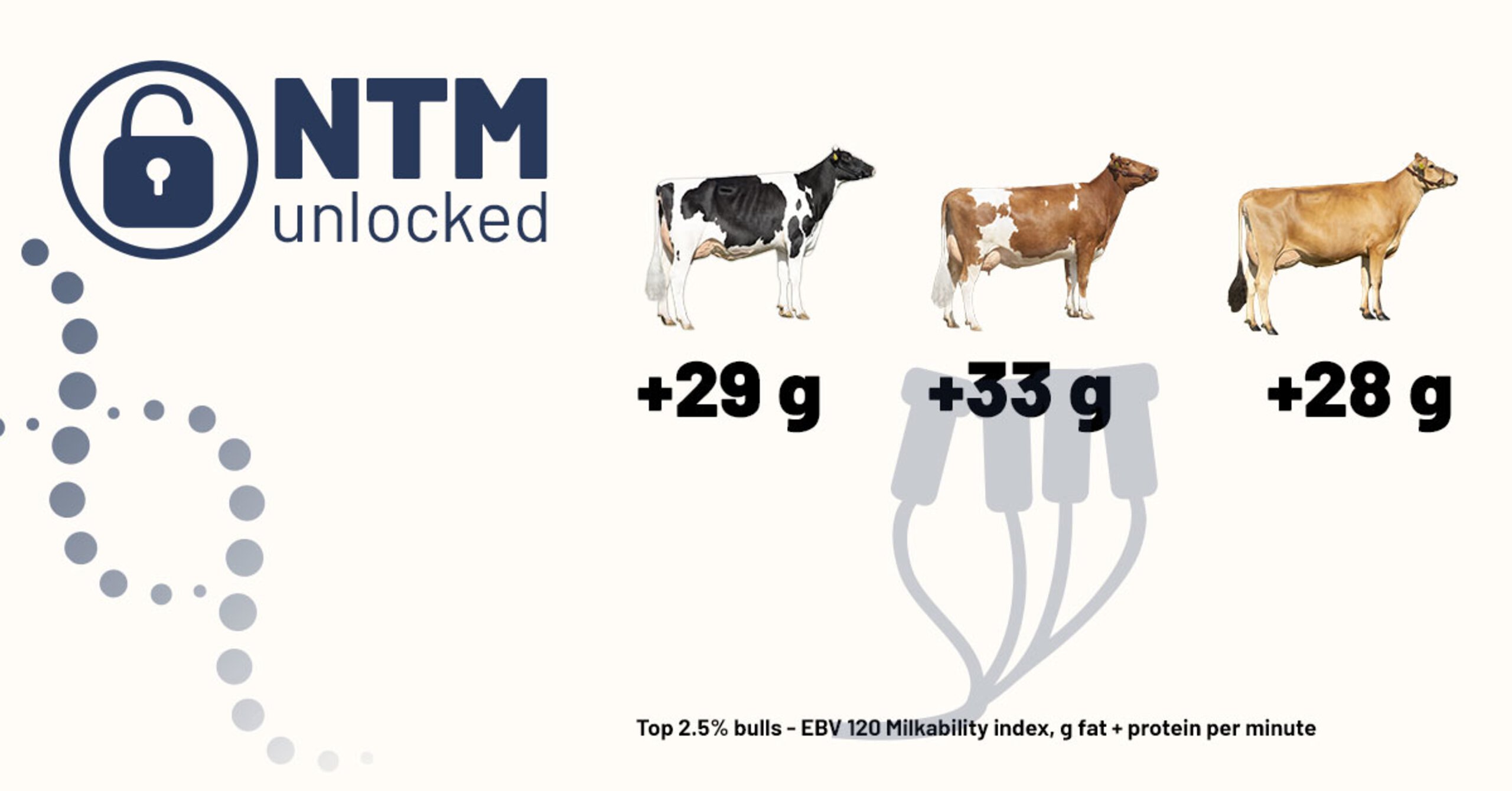 Breed cows that are easy to milk and handle