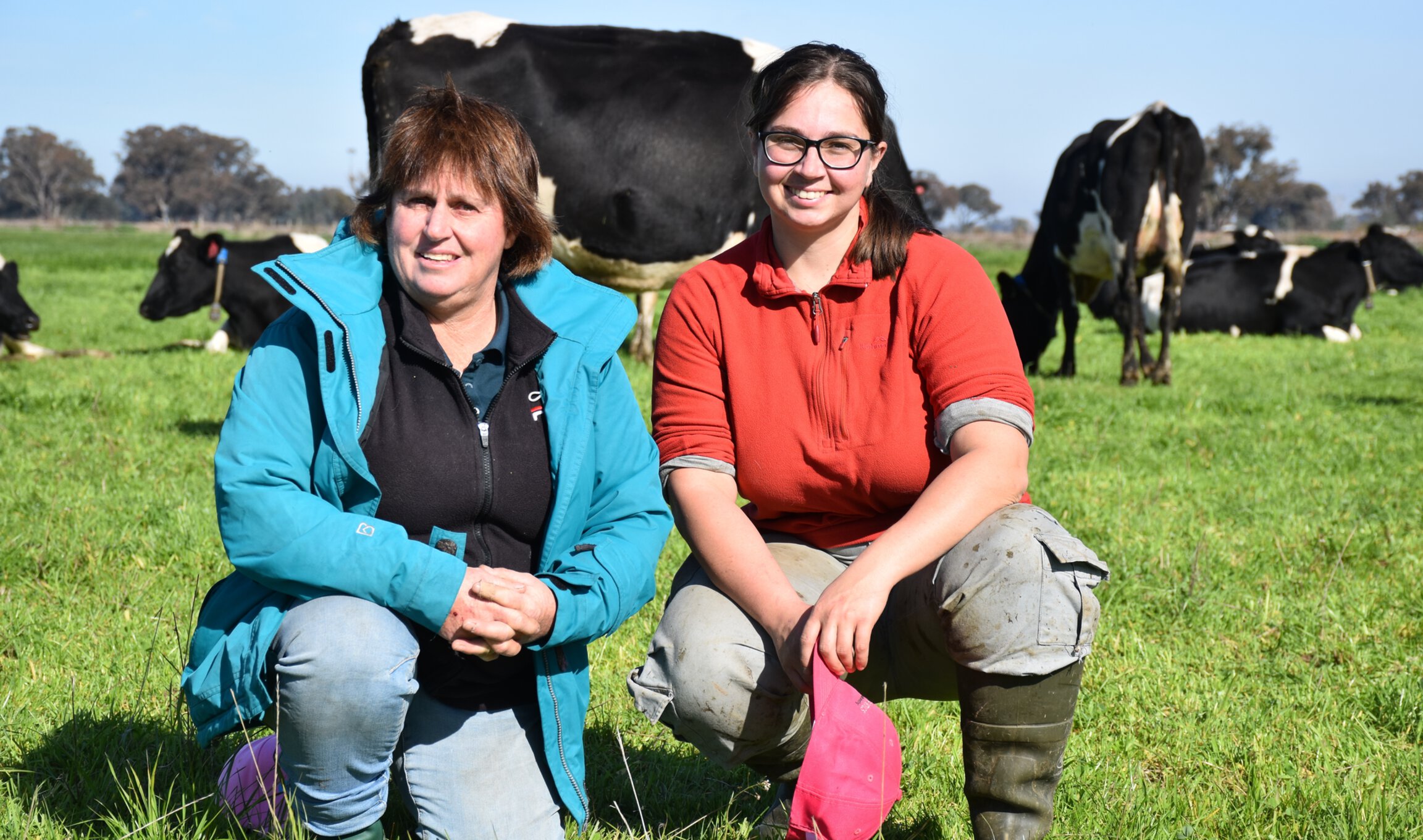 Switch to VikingHolstein rewards Australia herd with top cows