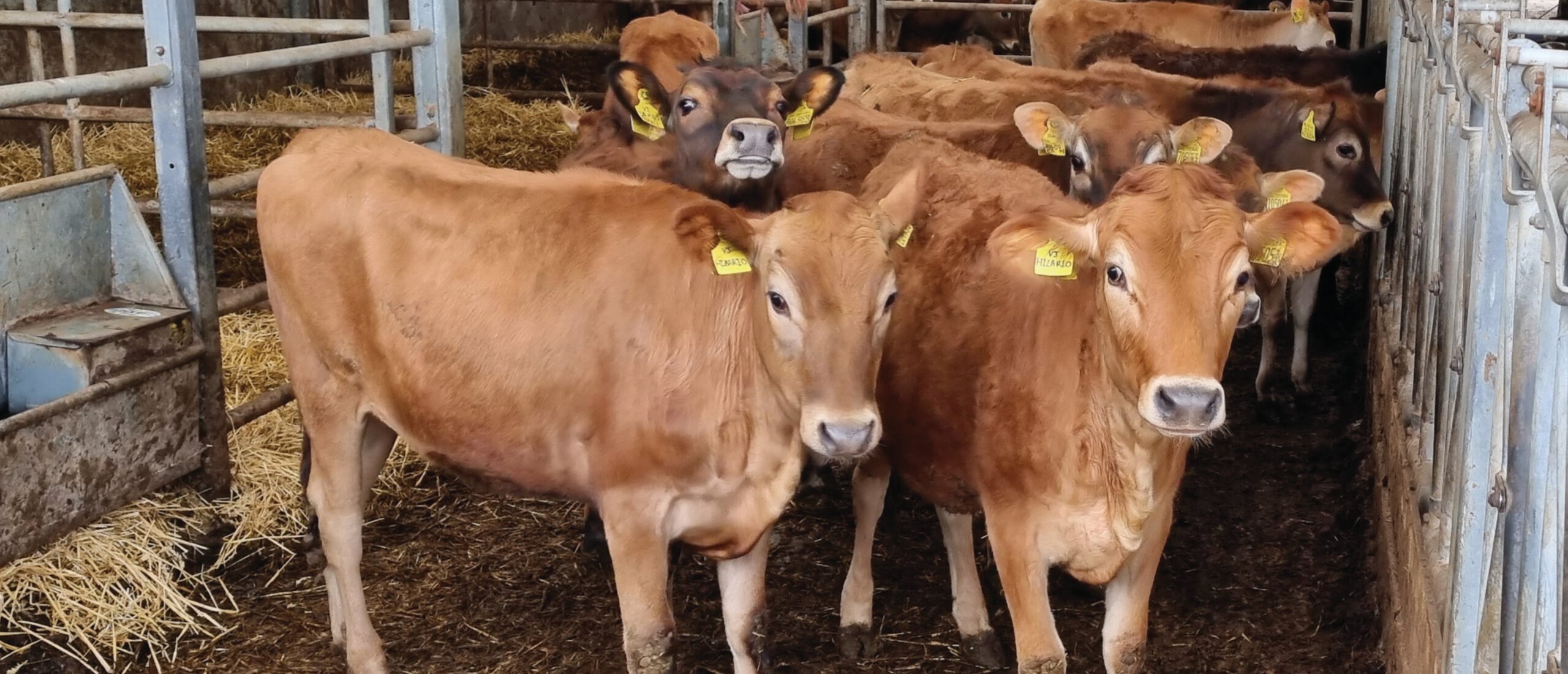 “We are able to keep our empty rate at 10% with X-Vik”