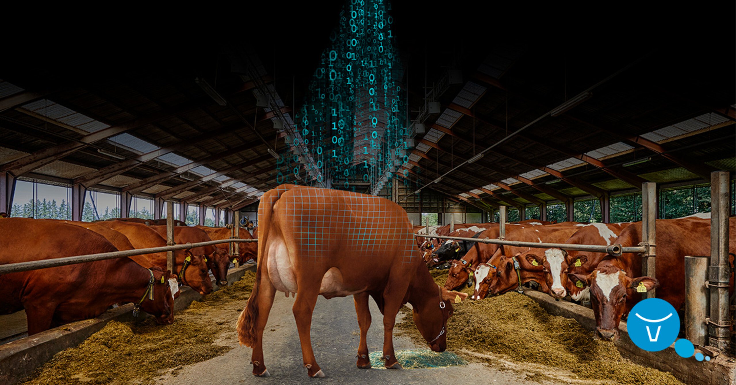 Feed efficiency benefits profitability and sustainability