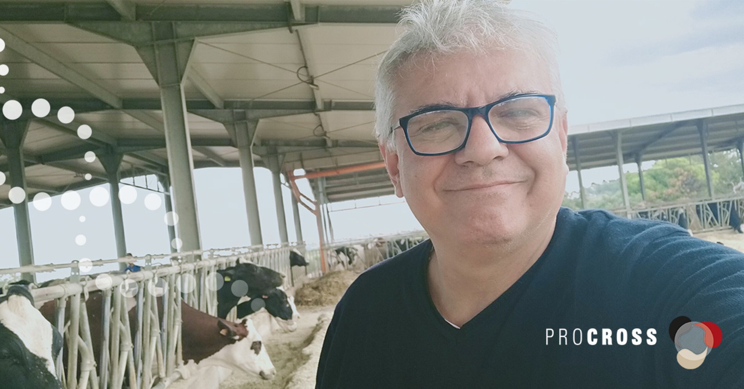 ProCROSS Cows Boost Parmesan Production in Italy
