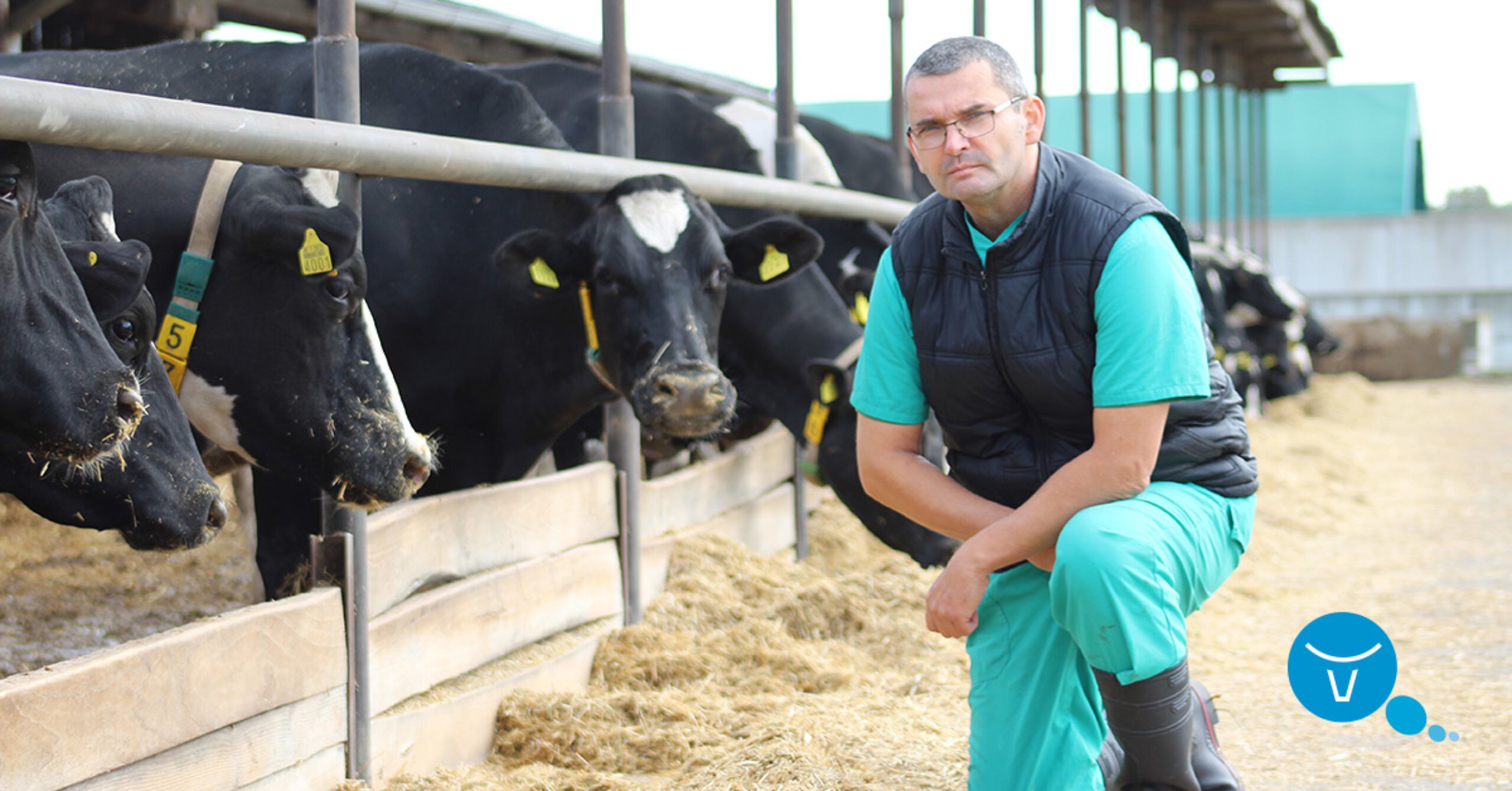 VikingGenetics improves Holstein milk production and quality