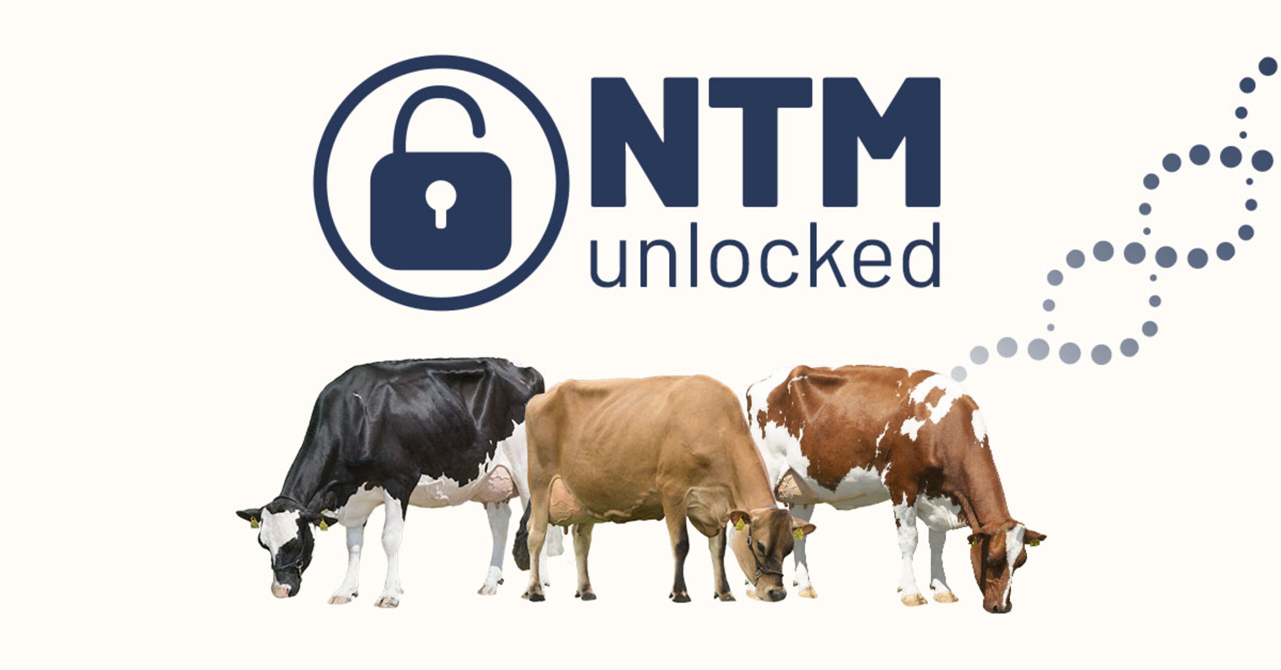 What is the Nordic Total Merit Index?