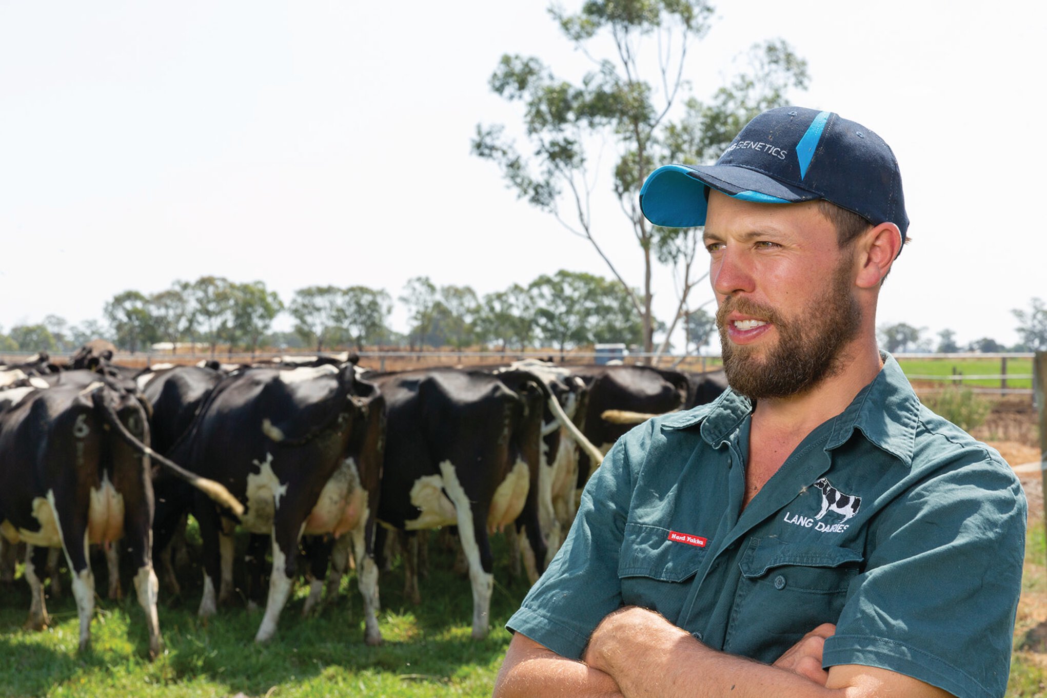 Case: The importance of herd health