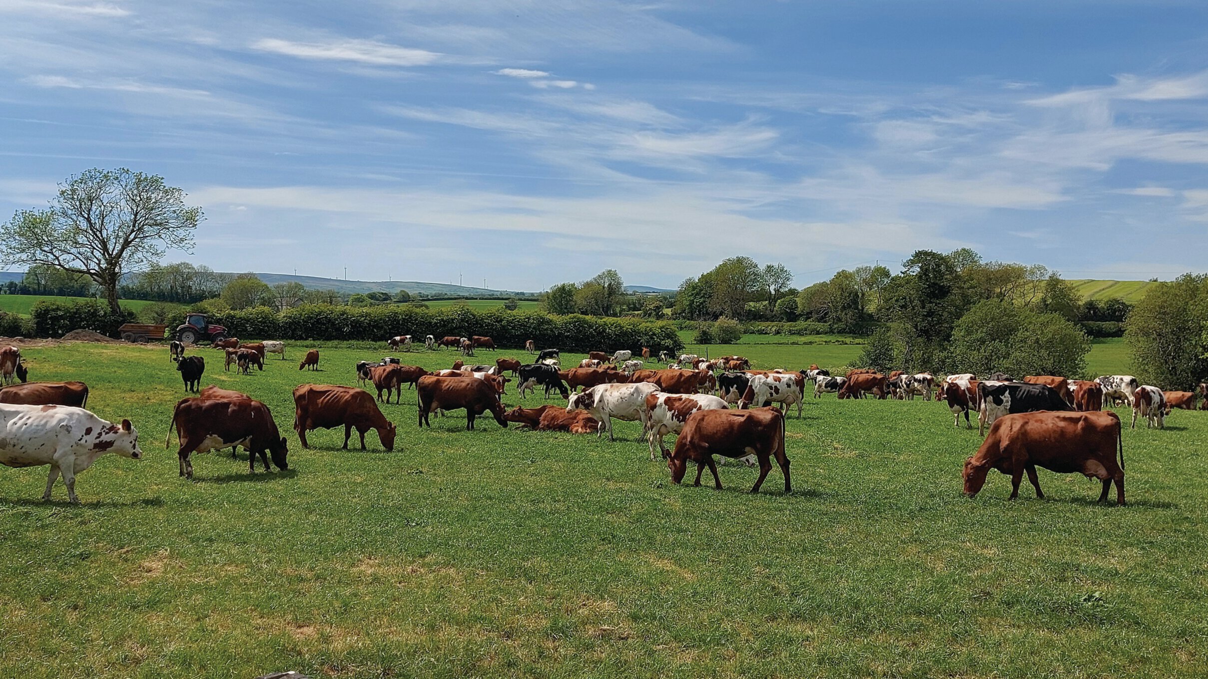 Case: Big difference to profitability