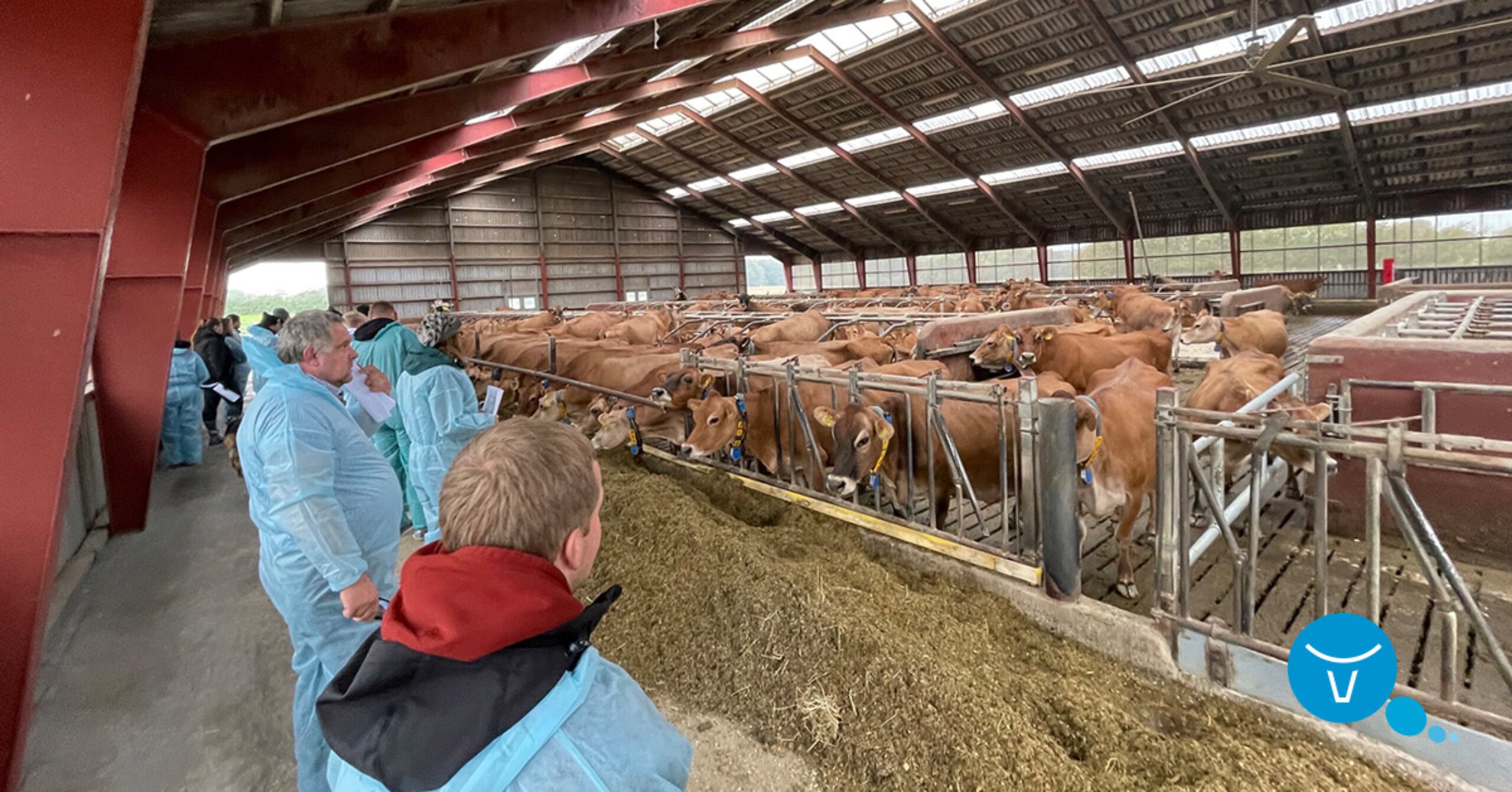 VikingJersey-Tour in Dänemark Herbst 2022