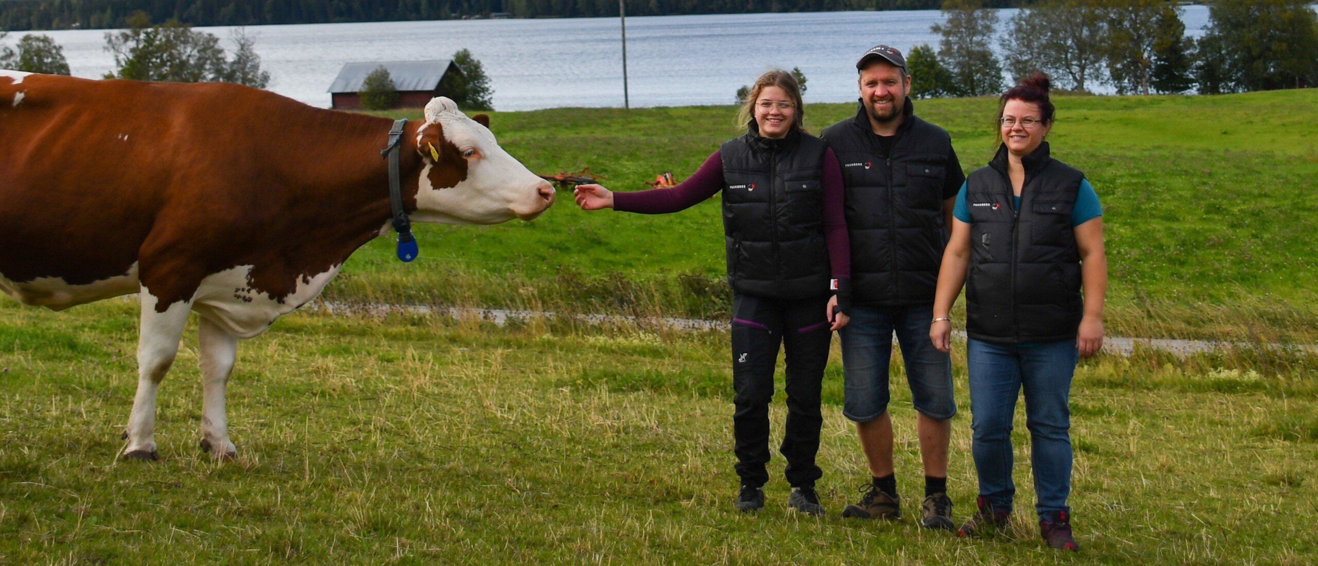 ProCROSS cows – easy to work with