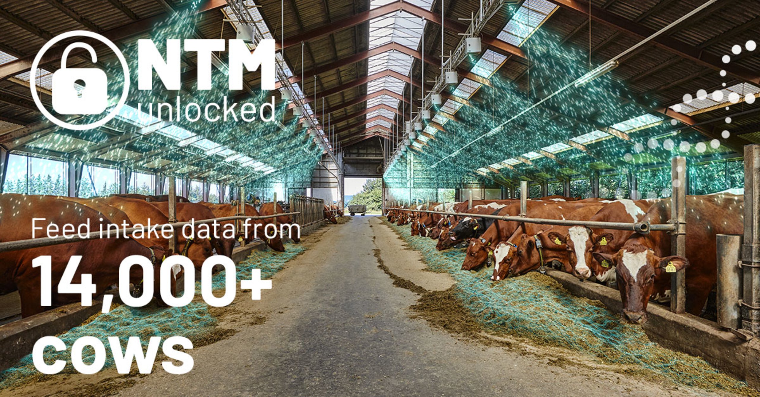 A saved feed index based on real-life feed intake data