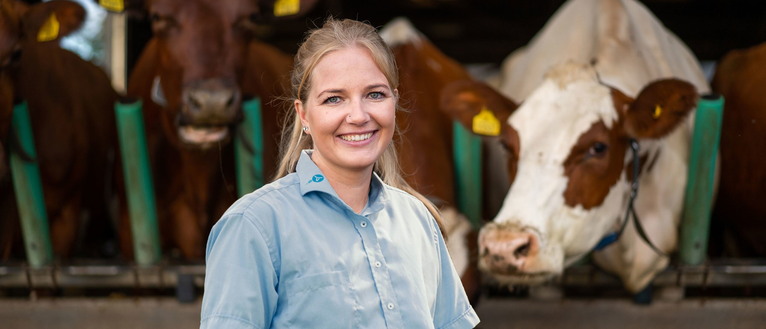 VikingGenetics - Contact Us