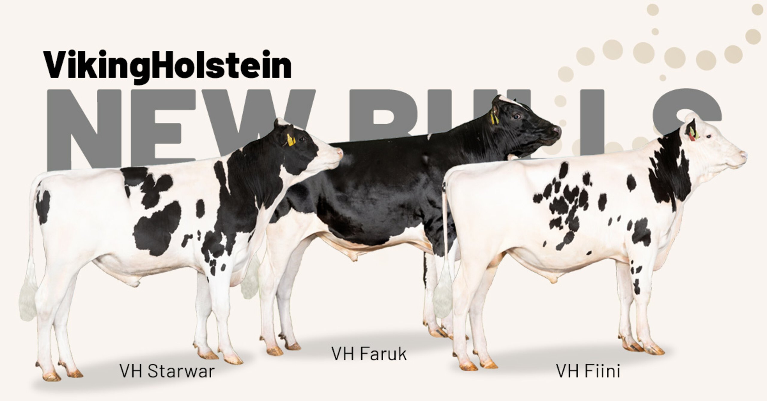 New sires VikingHolstein May 2023
