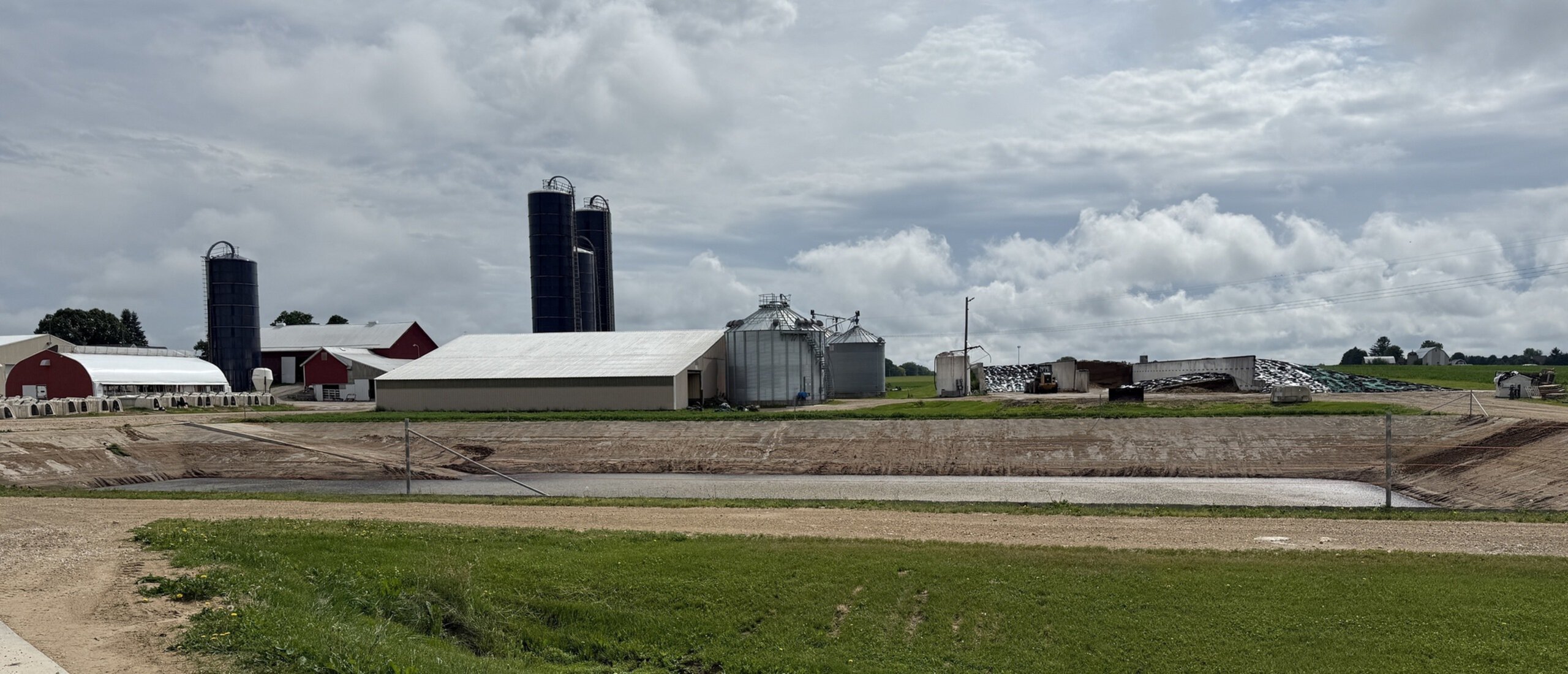 Future-proofing the family dairy with ProCROSS