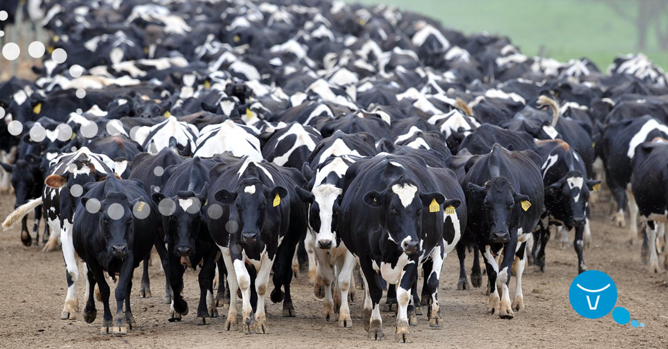 How to Navigate Farming Regulations via Breeding