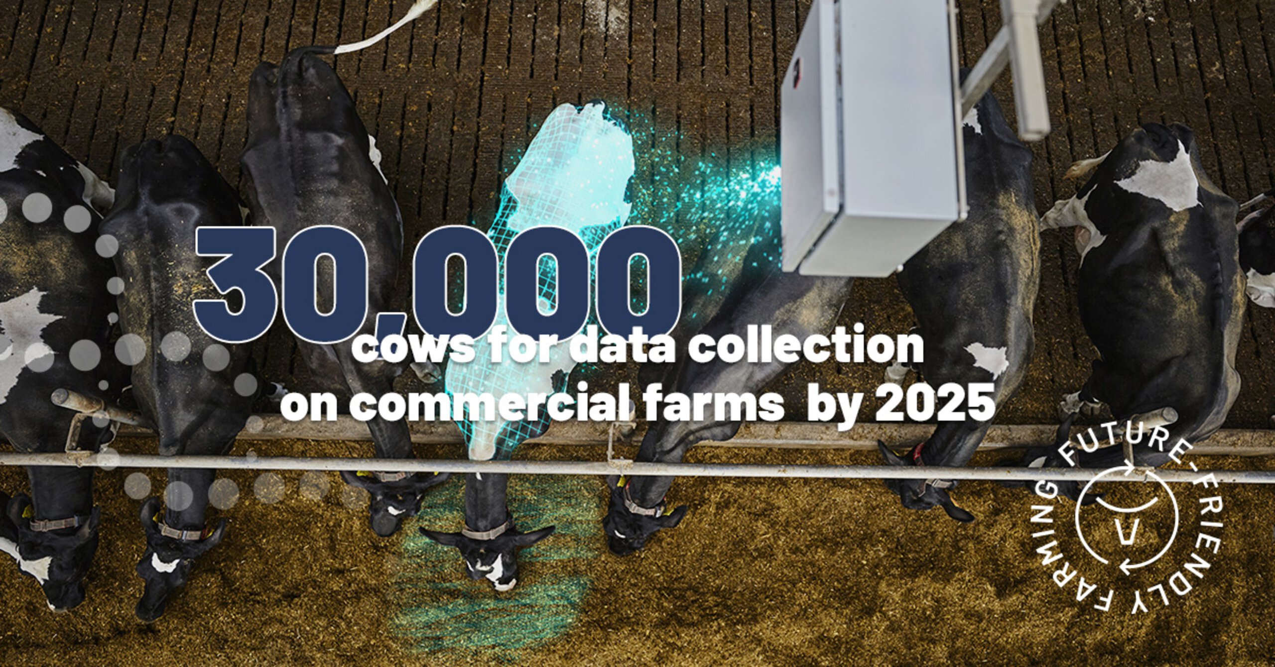 Boost Sustainable Profits with Feed-Efficient Cows