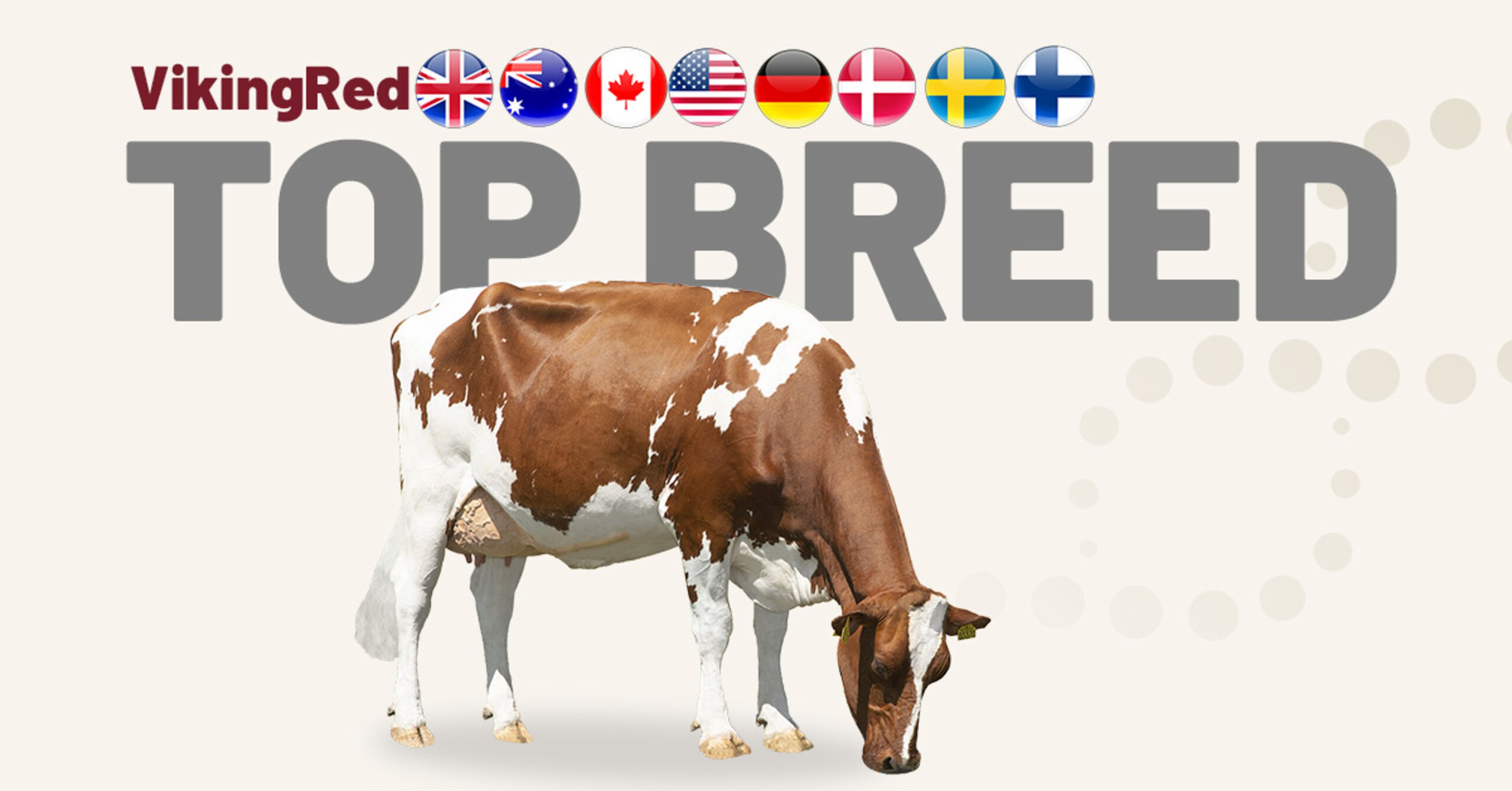 VikingRed is the top red breed in the world