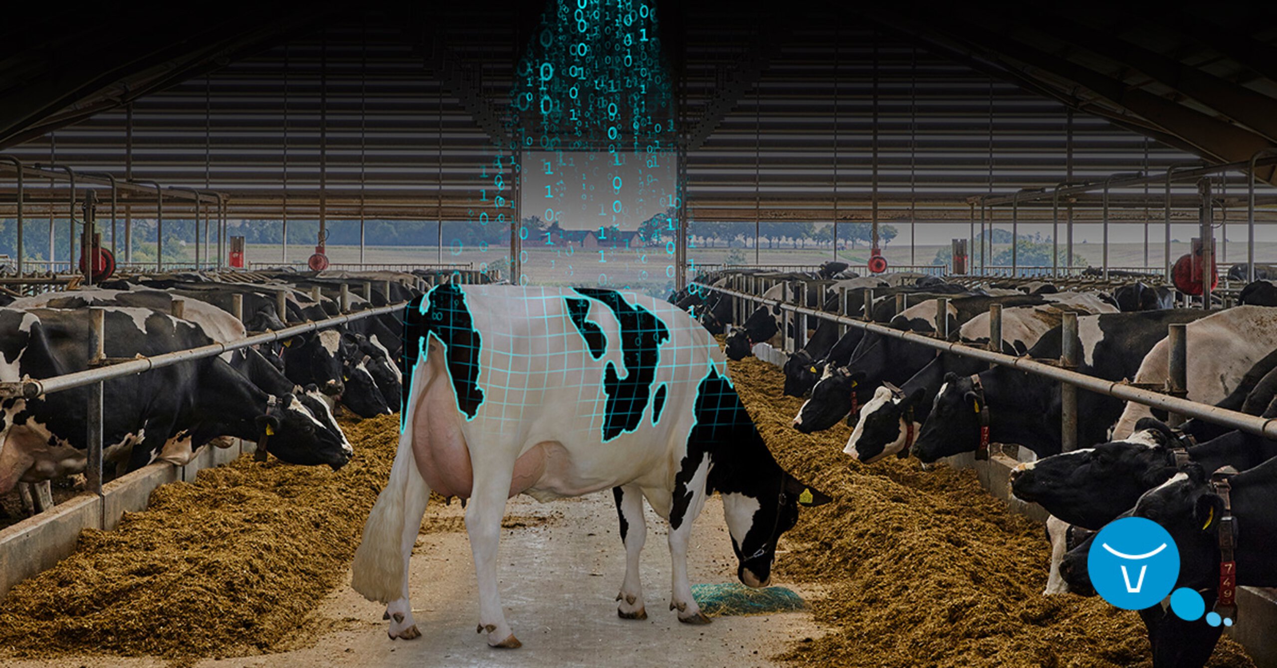 Breeding Technology: the Future of Dairy Farming
