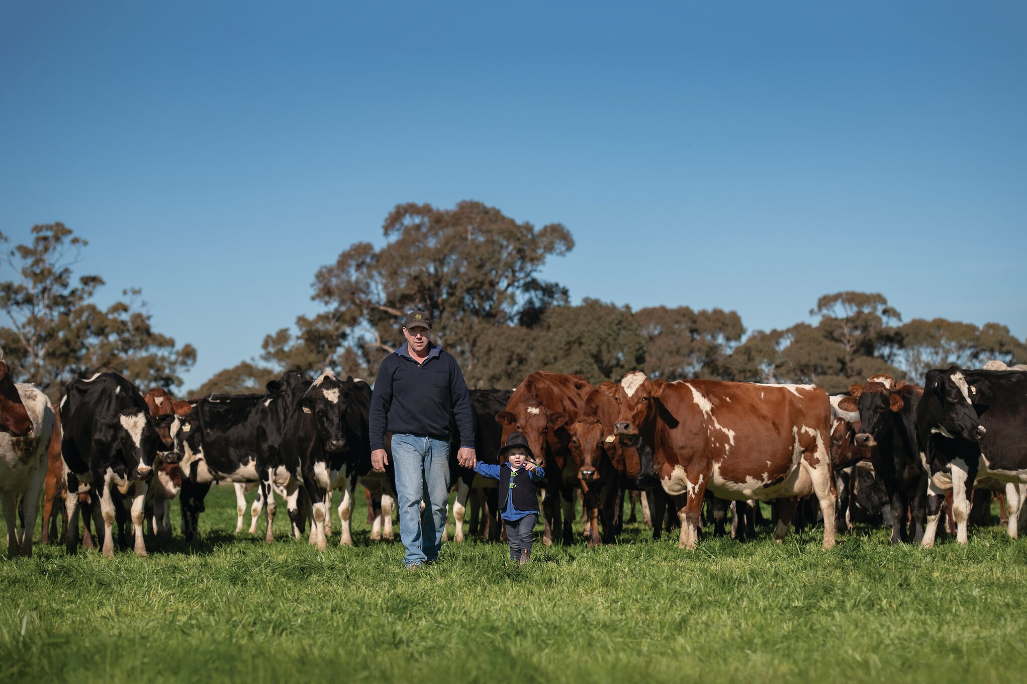 Case: VikingGoldenCross in Australia