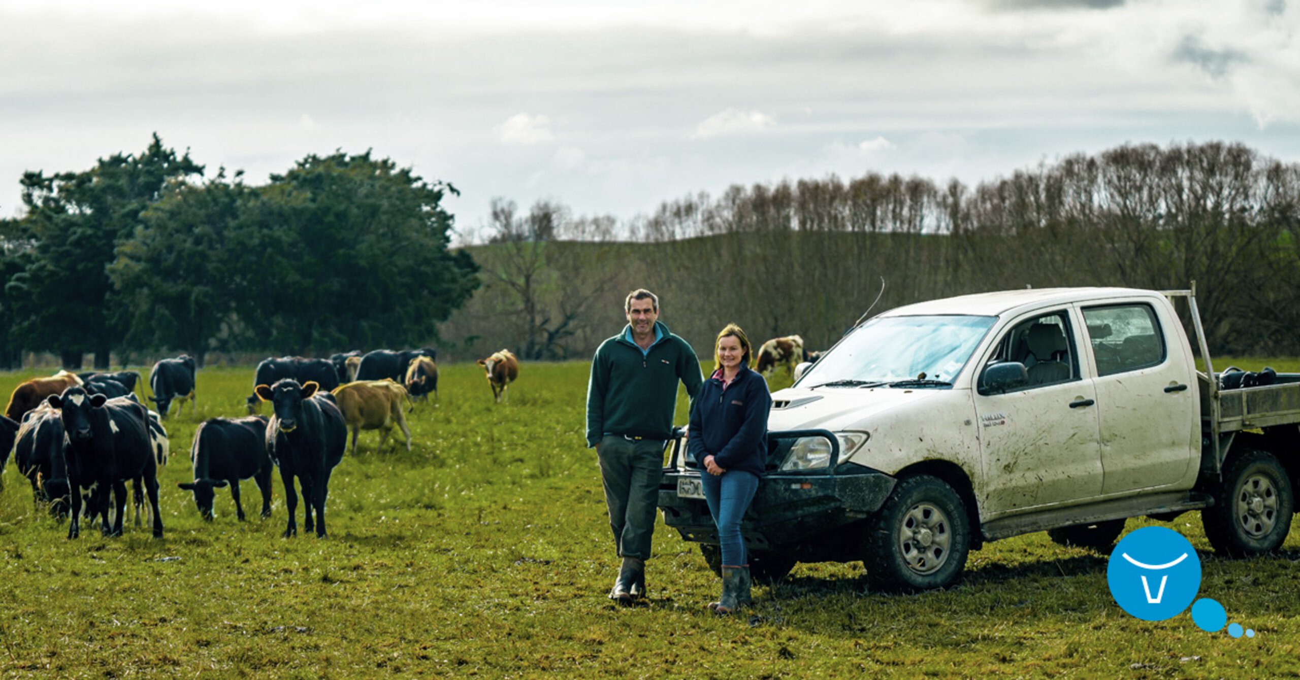 Breeding efficient cows with crossbreeding