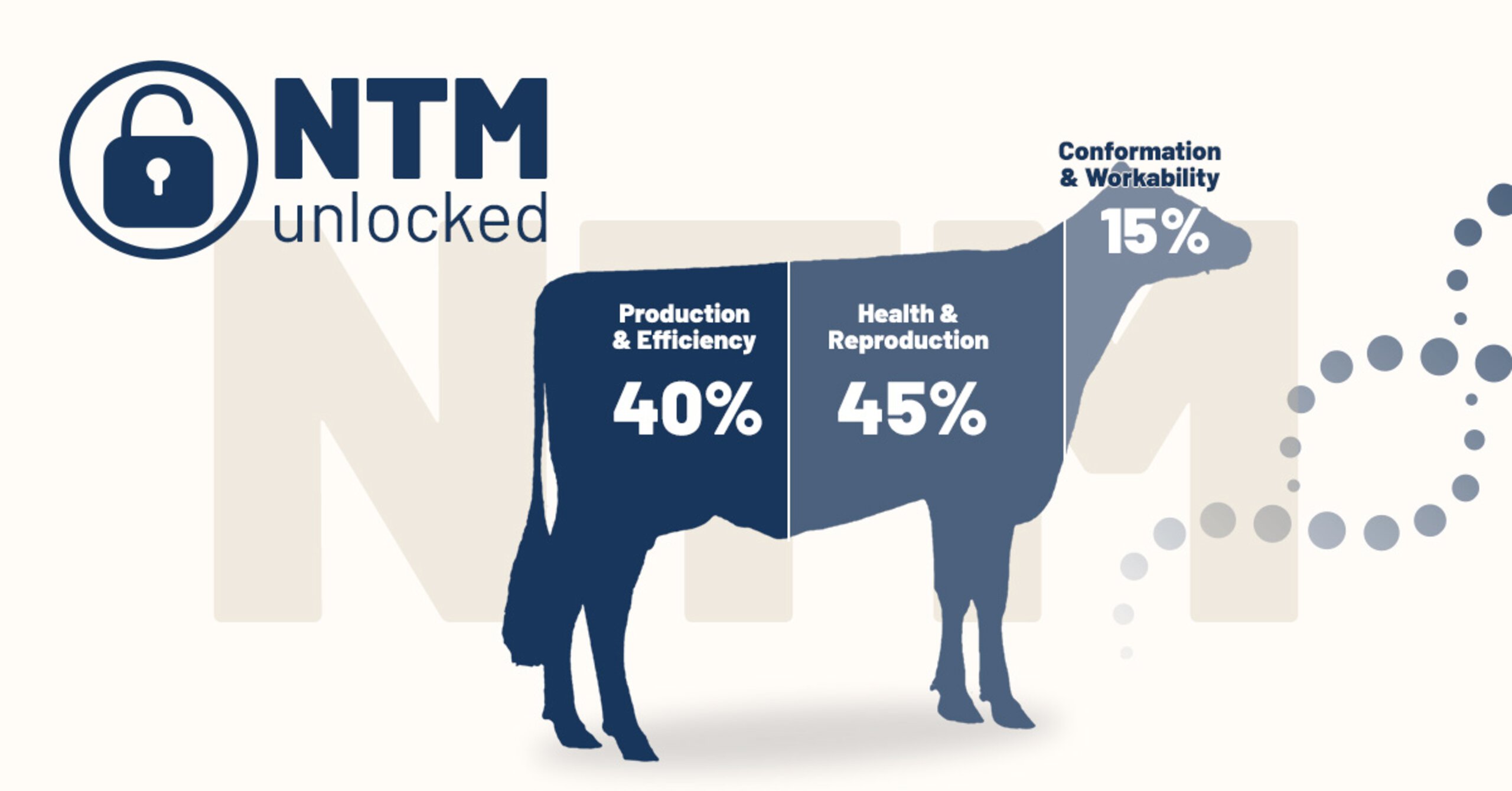 What is the Nordic Total Merit Index (NTM)?