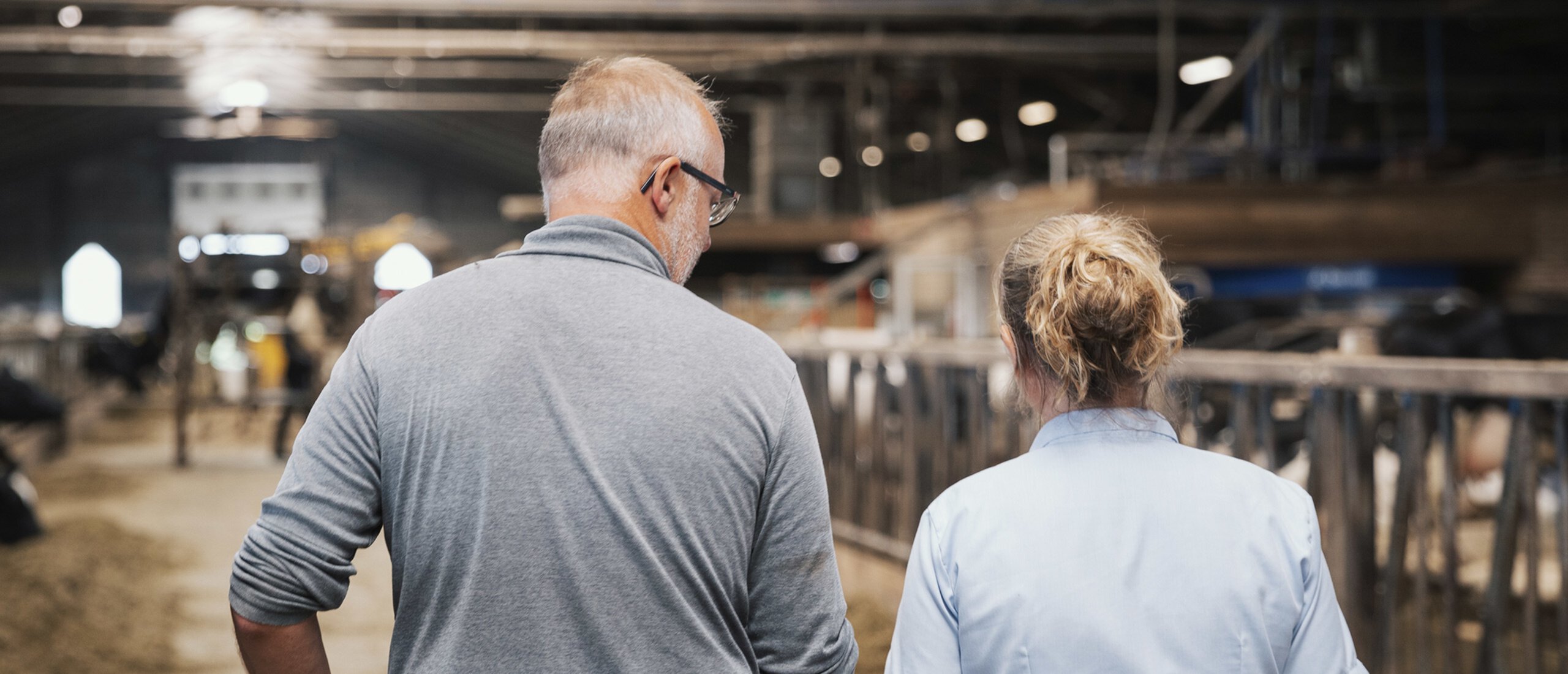 VikingGenetics - Partners of dairy farmers